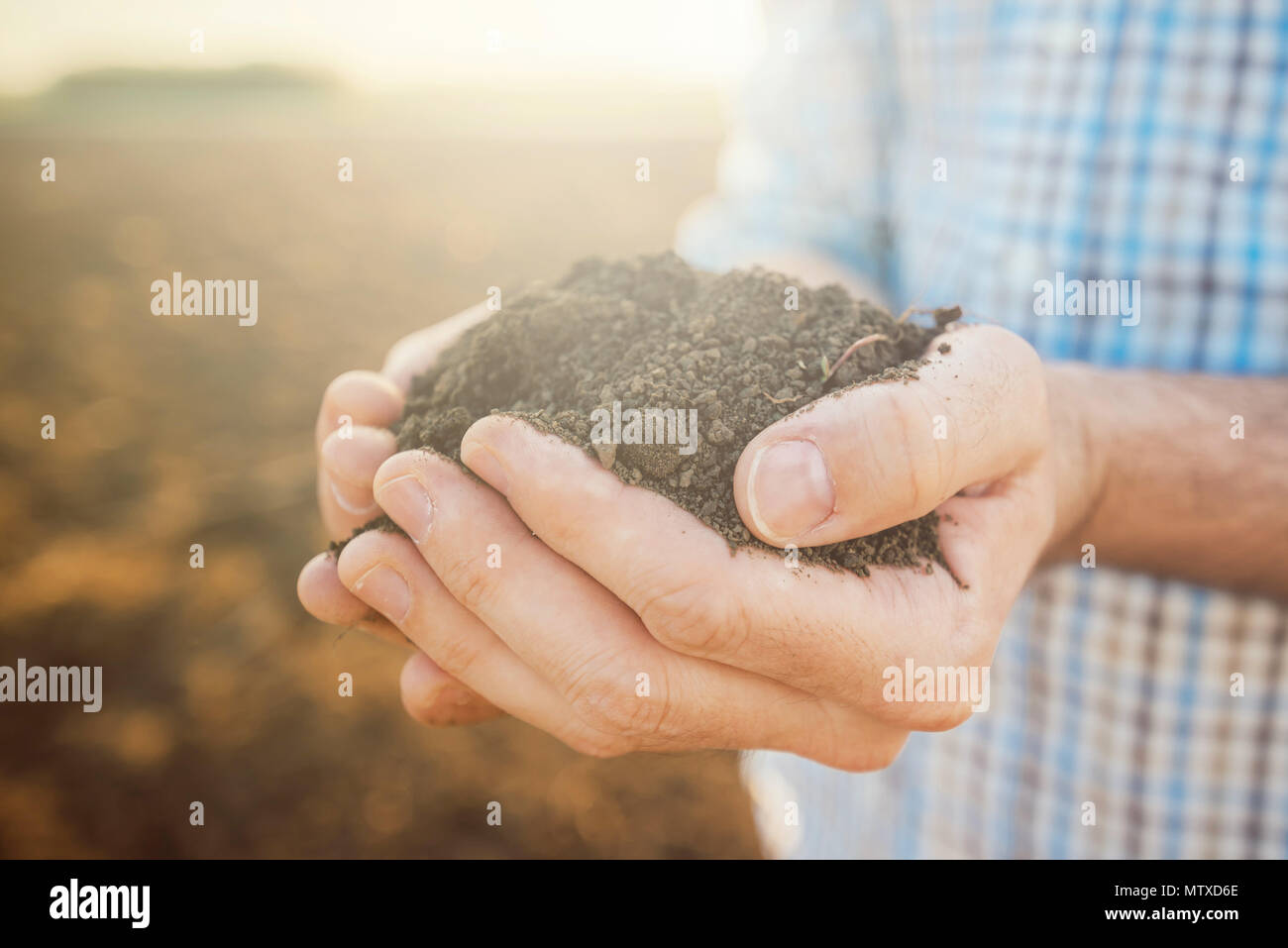 Handful of soil, close up of farmer's hands holding pile of arable soil ...