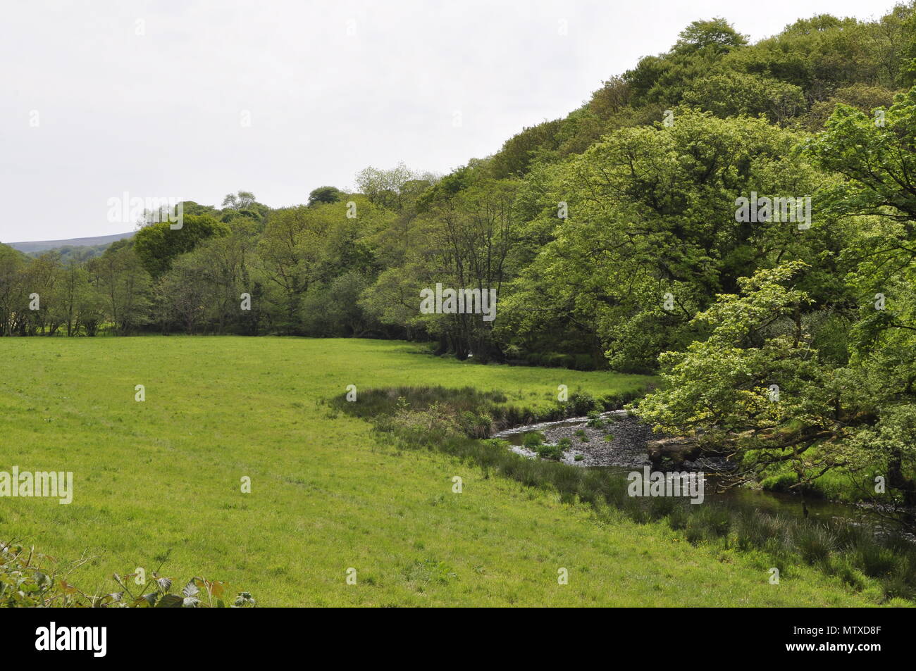 Gwaun valley hi-res stock photography and images - Alamy