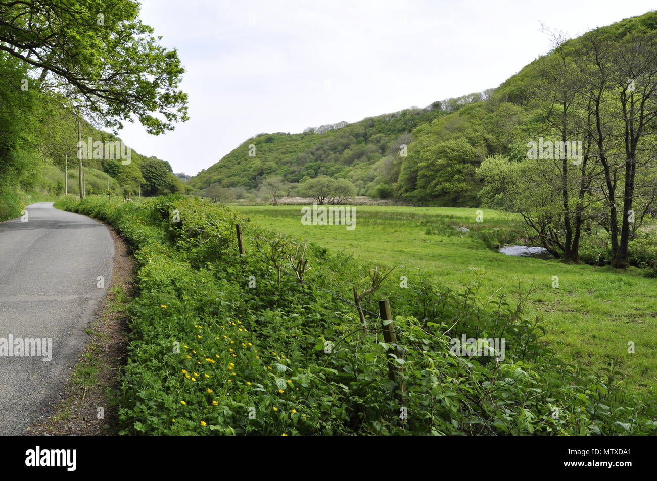 Gwaun hi-res stock photography and images - Alamy