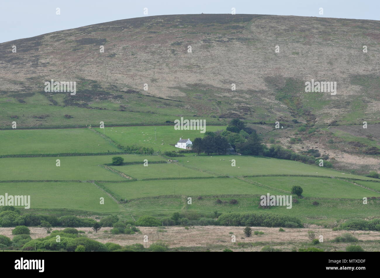 Preseli national park hi-res stock photography and images - Alamy
