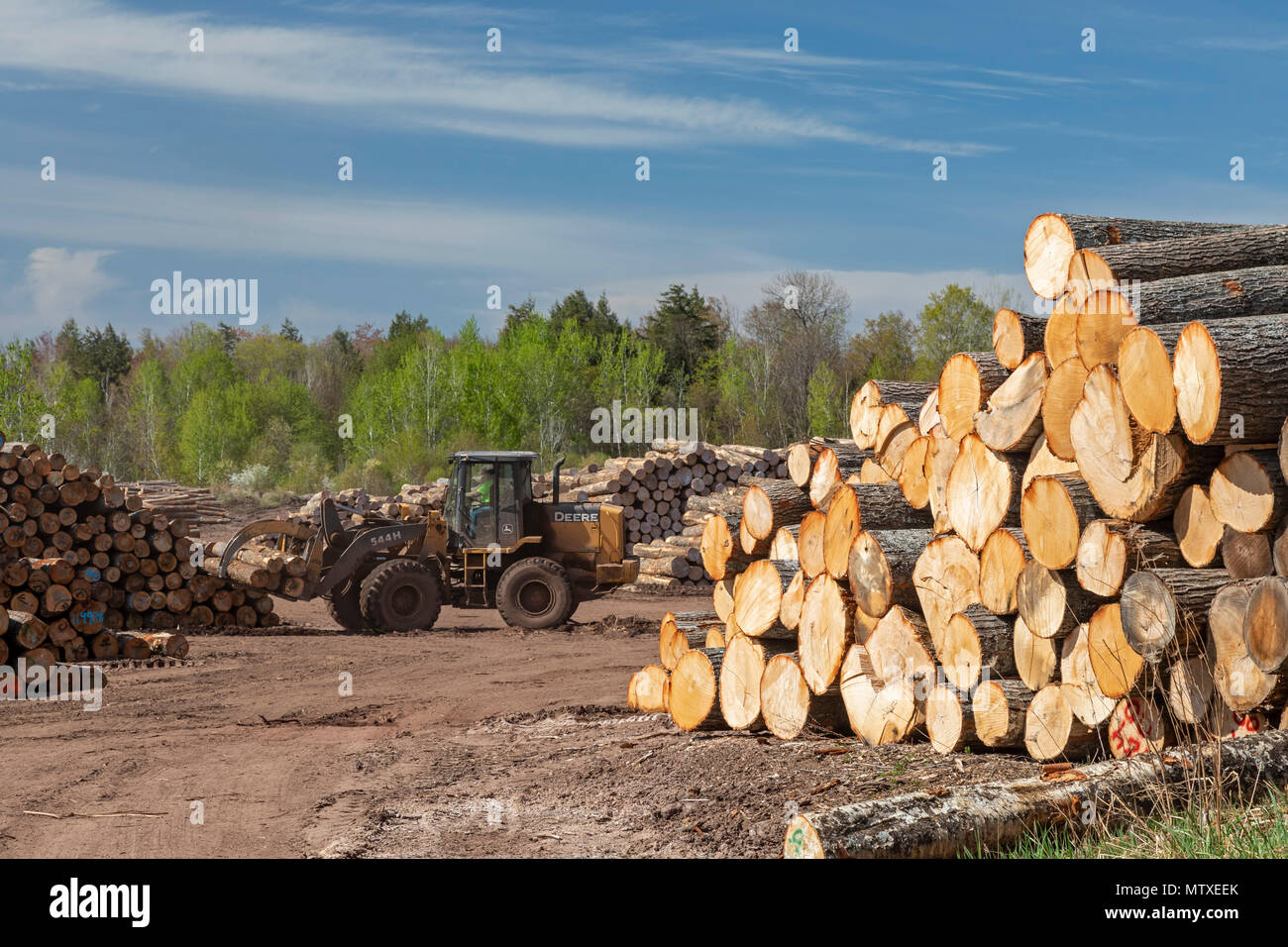 Lumber yard hi-res stock photography and images - Alamy