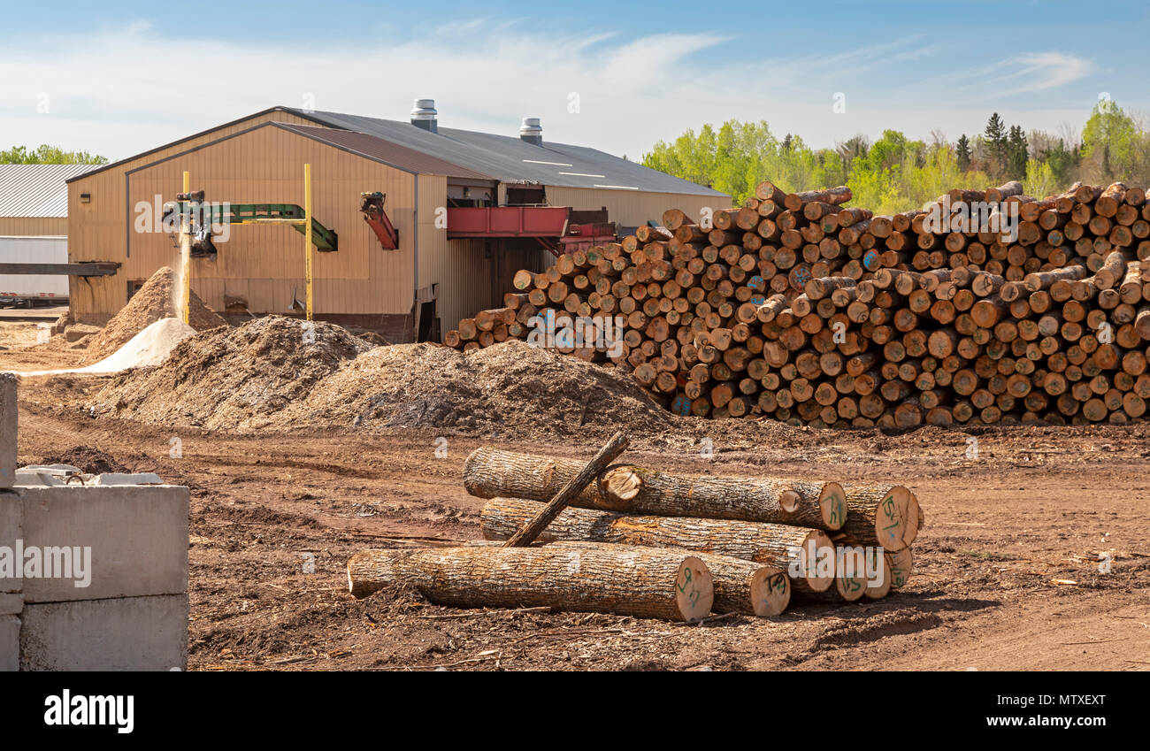 Log logging logging forest hi-res stock photography and images - Alamy