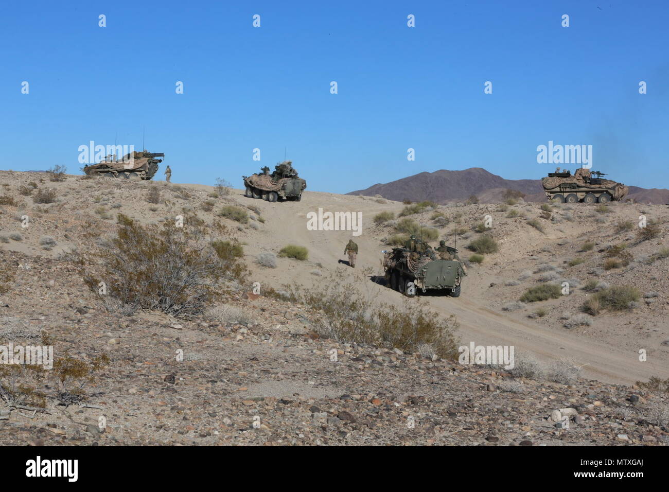 U.S. Marines with Fox Company, 4th Light Armored Reconnaissance ...