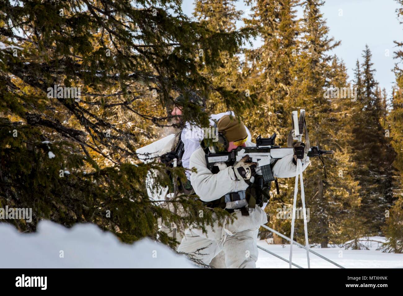 Student in the Swedish Basic Winter Warfare Course uses ski poles to ...