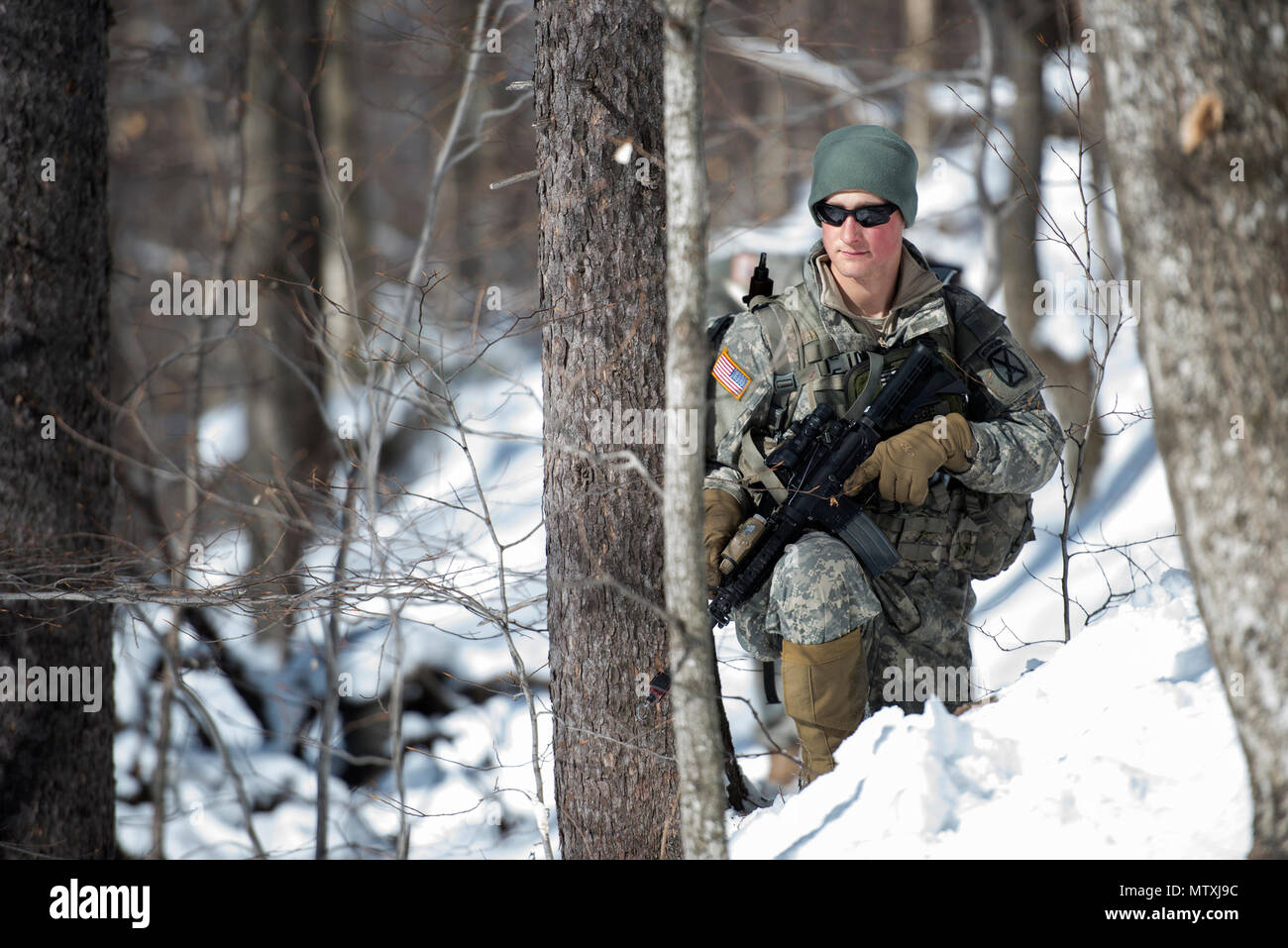 A Soldier assigned to Alpha Company, 3rd Battalion, 172nd Infantry ...
