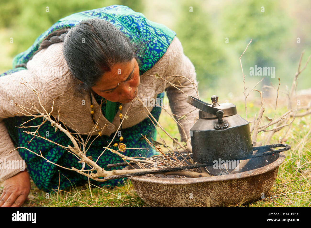 Indian woman making tea, Champawatt, Kumaon Hills, Uttarakhand, India ...