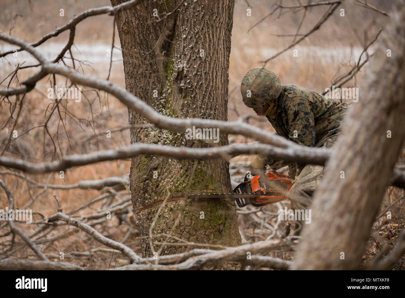 U.S. Marine Lance Cpl. David Lowe, a combat engineer with Alpha Company ...