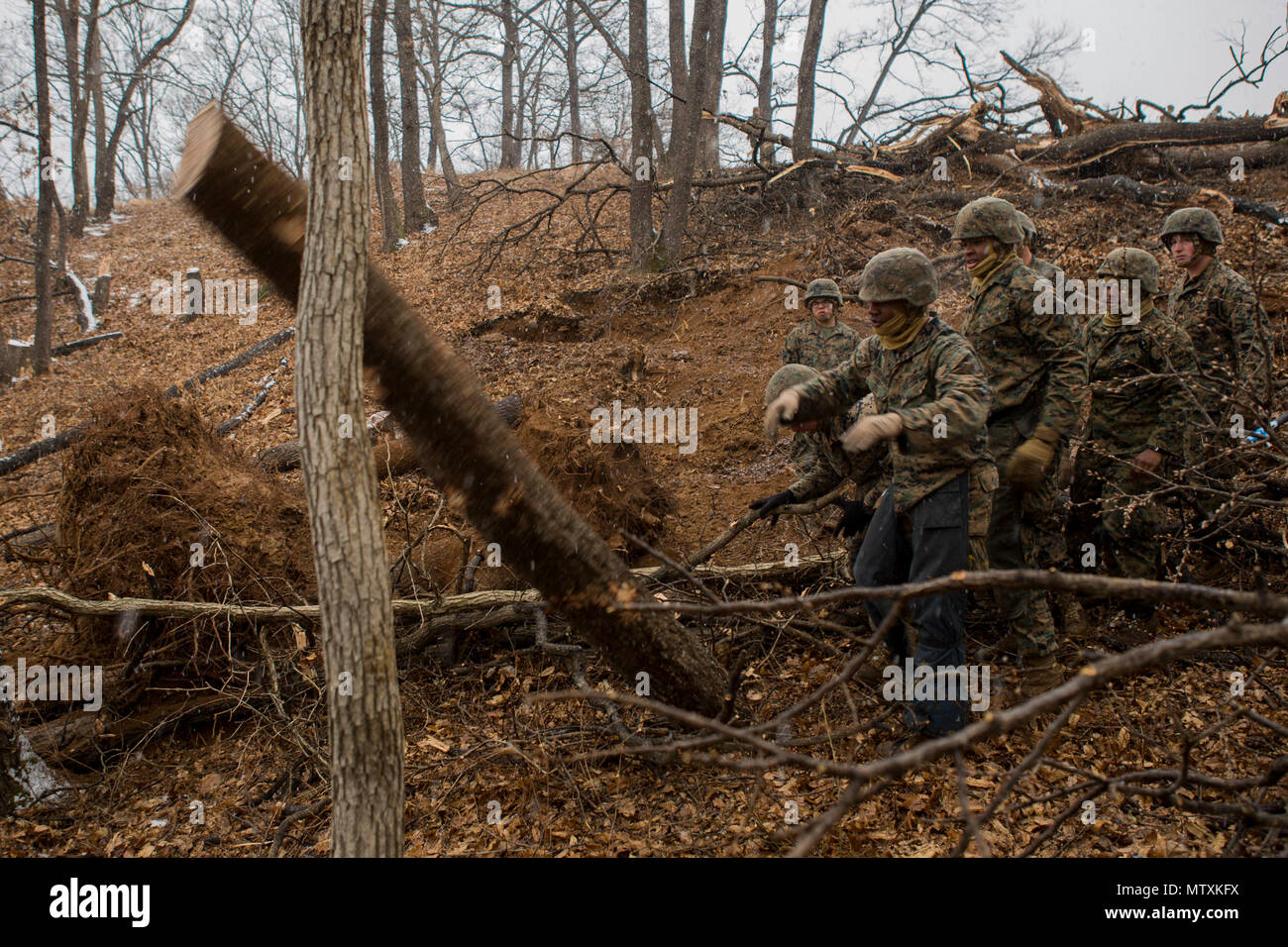 U.S. Marines with Alpha Company, 9th Engineer Support Battalion, 3rd ...