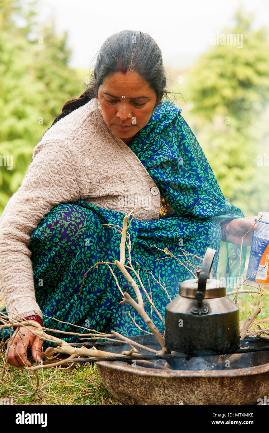 Indian woman making tea, Champawatt, Kumaon Hills, Uttarakhand, India ...