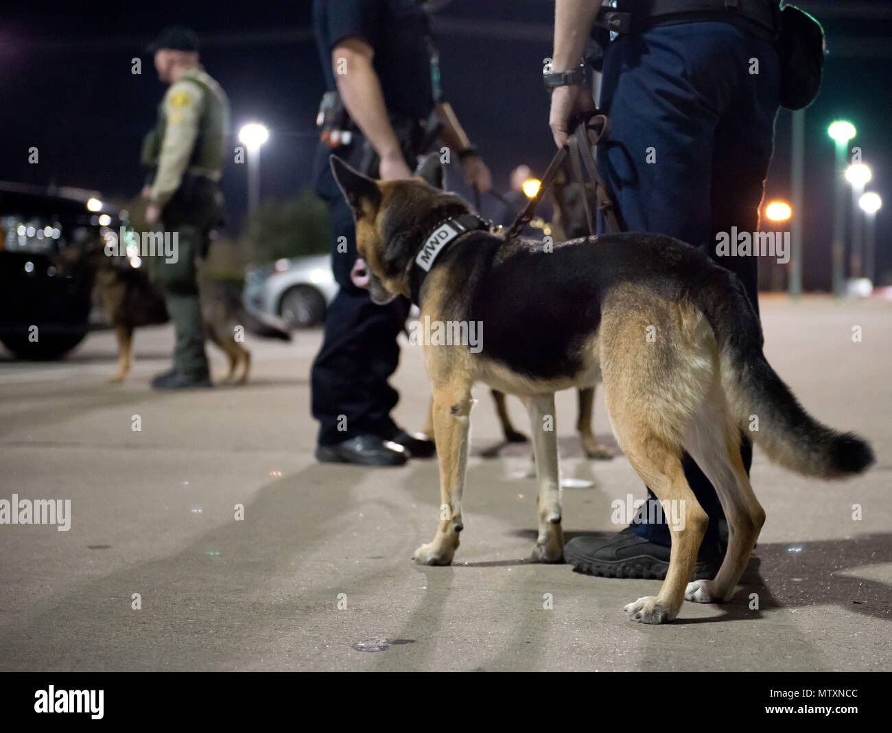 Maritime safety security team houston hi-res stock photography and ...