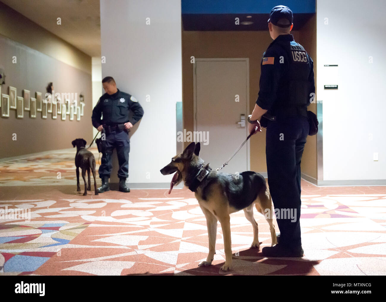 Msst houston hi-res stock photography and images - Alamy