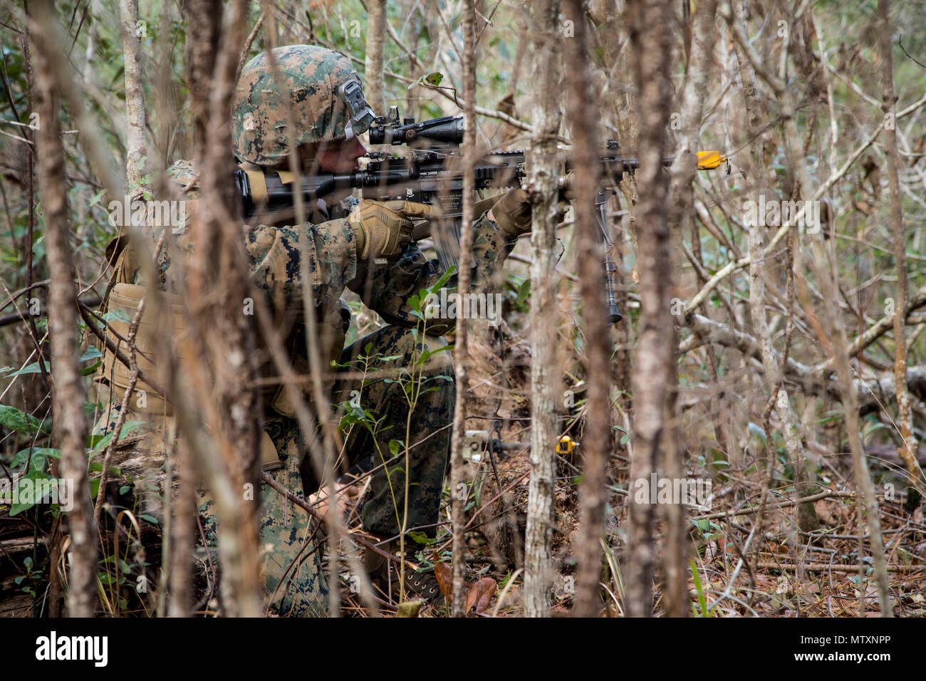 A U.S. Marine with Alpha Company, Infantry Training Battalion (ITB ...