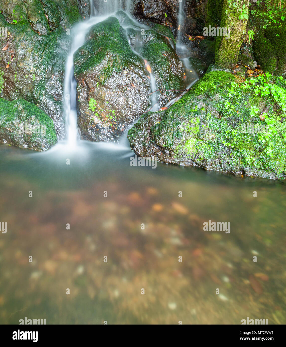 Small silky water fall running over moss covered rocks Stock Photo - Alamy