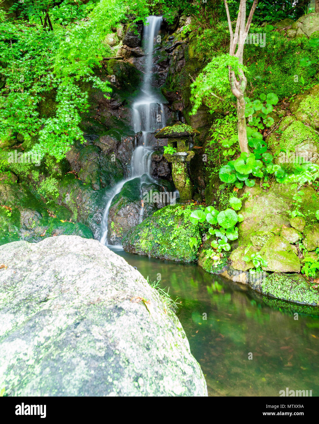 Water trough serene hi-res stock photography and images - Alamy