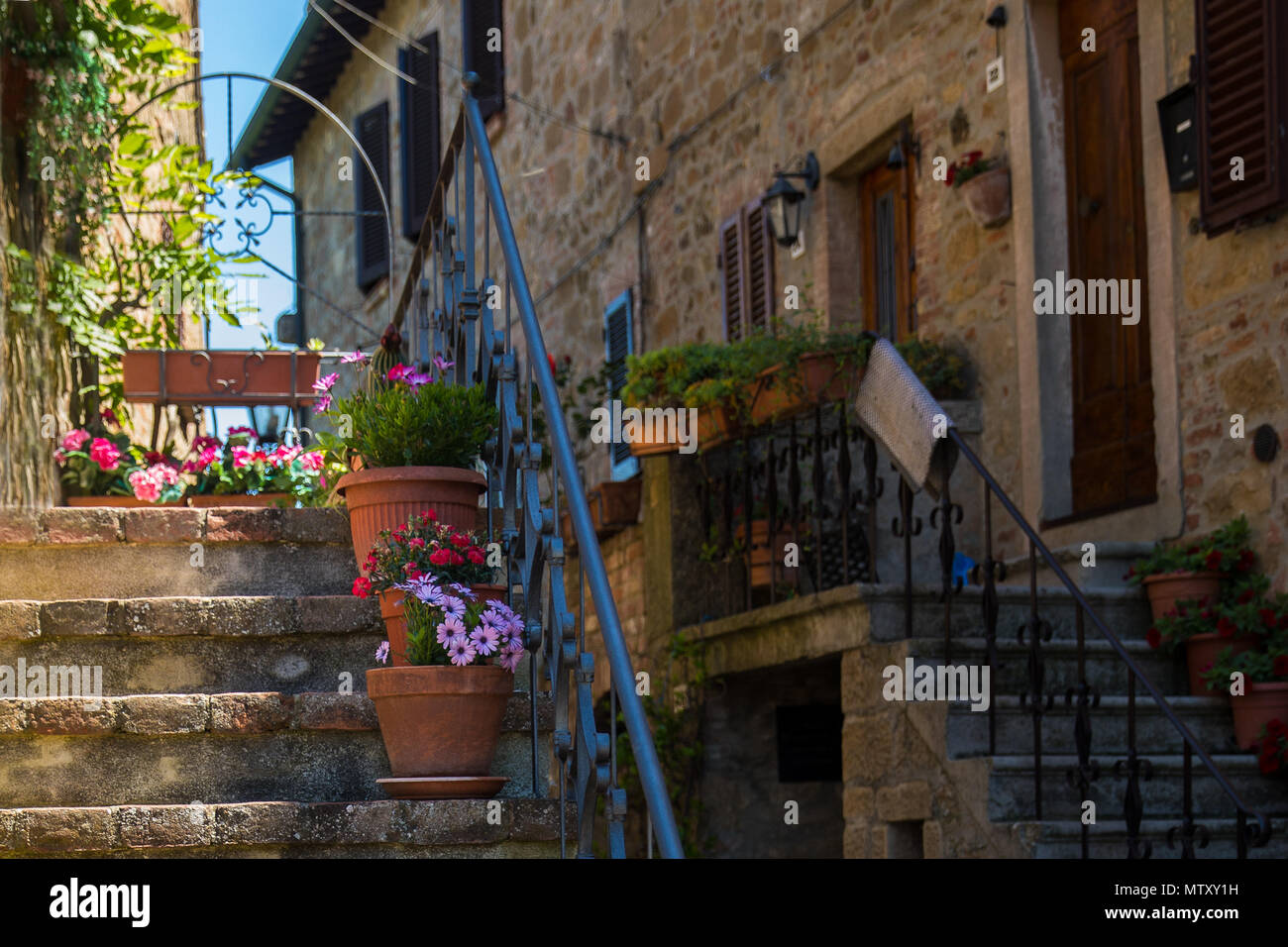 Flowers on steps Stock Photo - Alamy