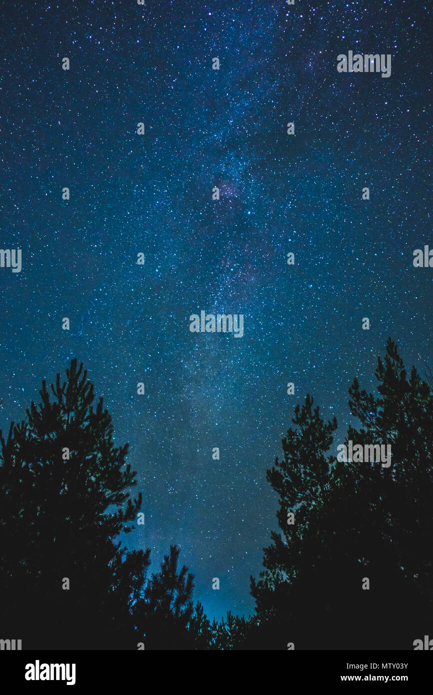 Field At Night With Stars