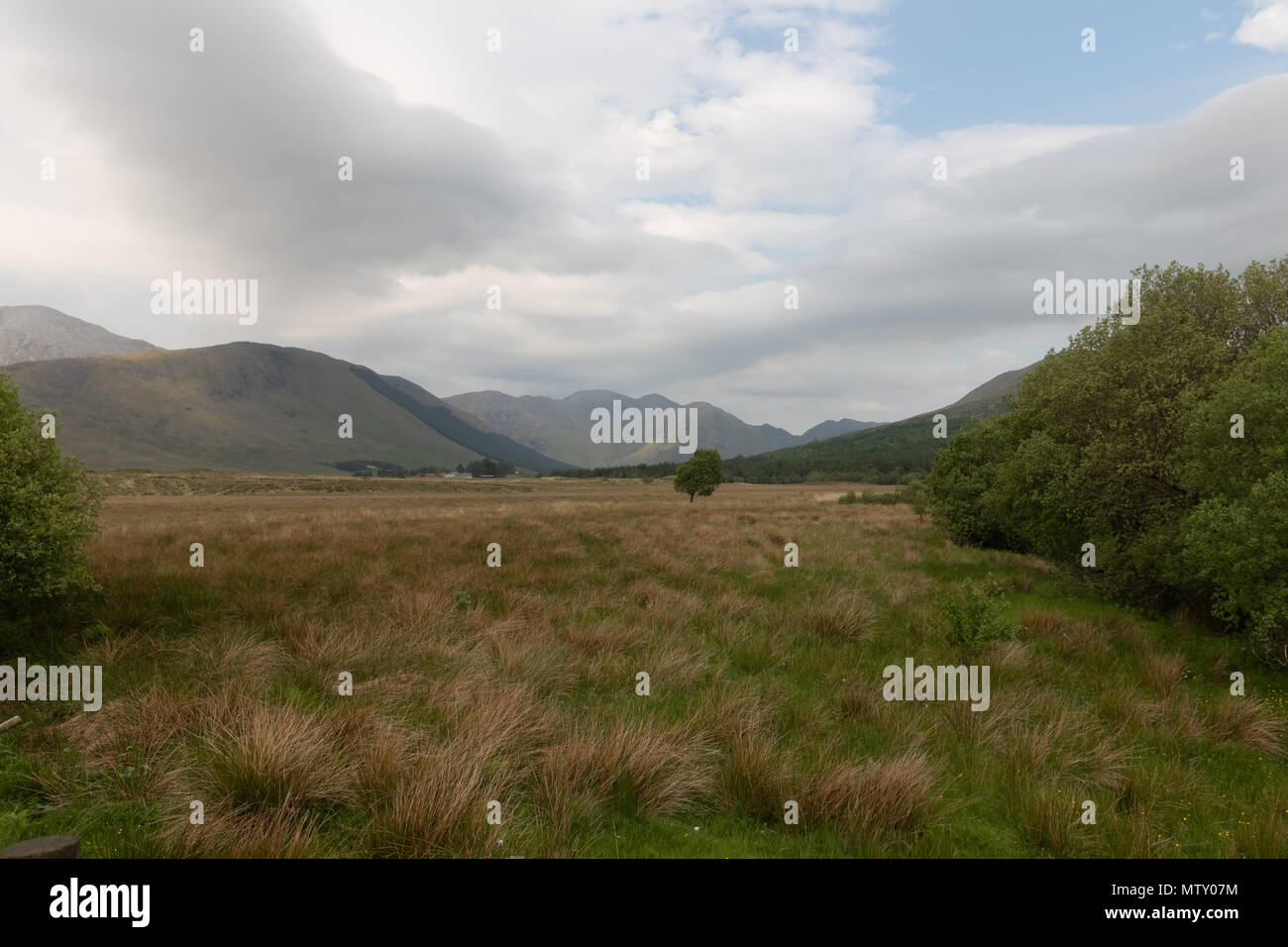 Rural landscape in Connemara, Co Galway, Ireland, summertime, mountain ...
