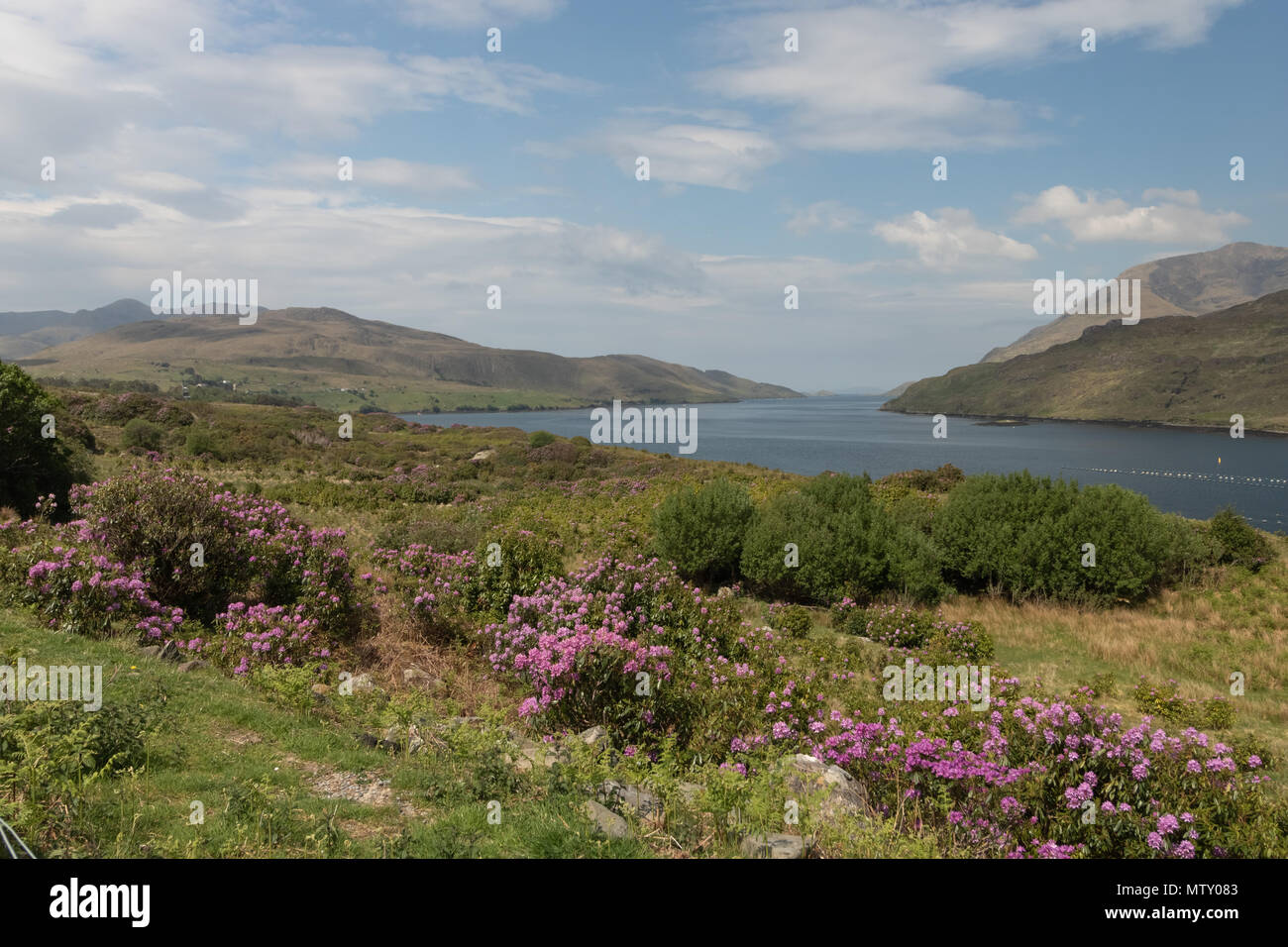 Rural tourism hi-res stock photography and images - Alamy
