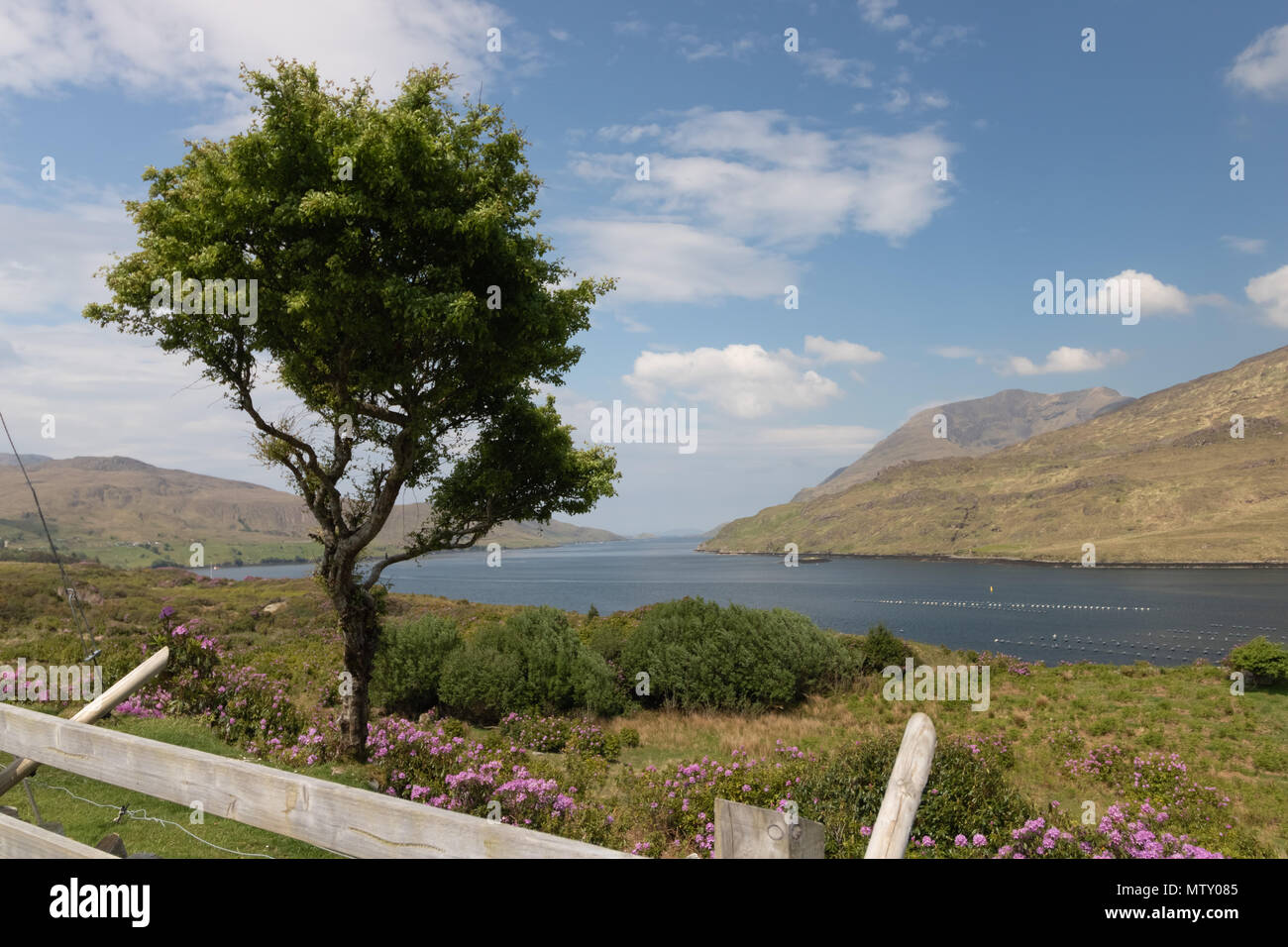 Rural scenes hi-res stock photography and images - Alamy