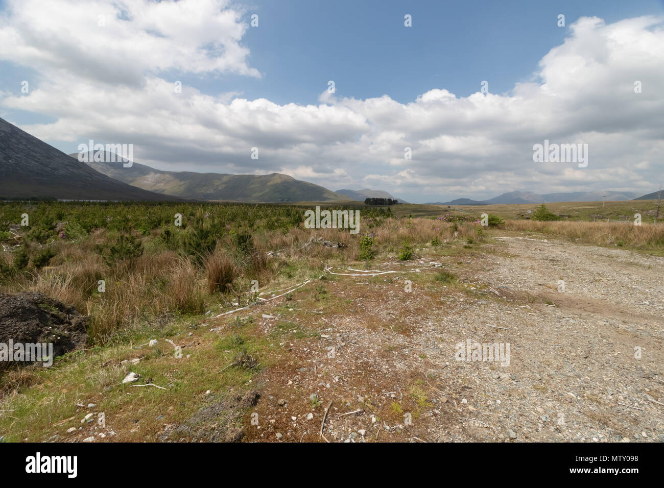 Rural scenes hi-res stock photography and images - Alamy