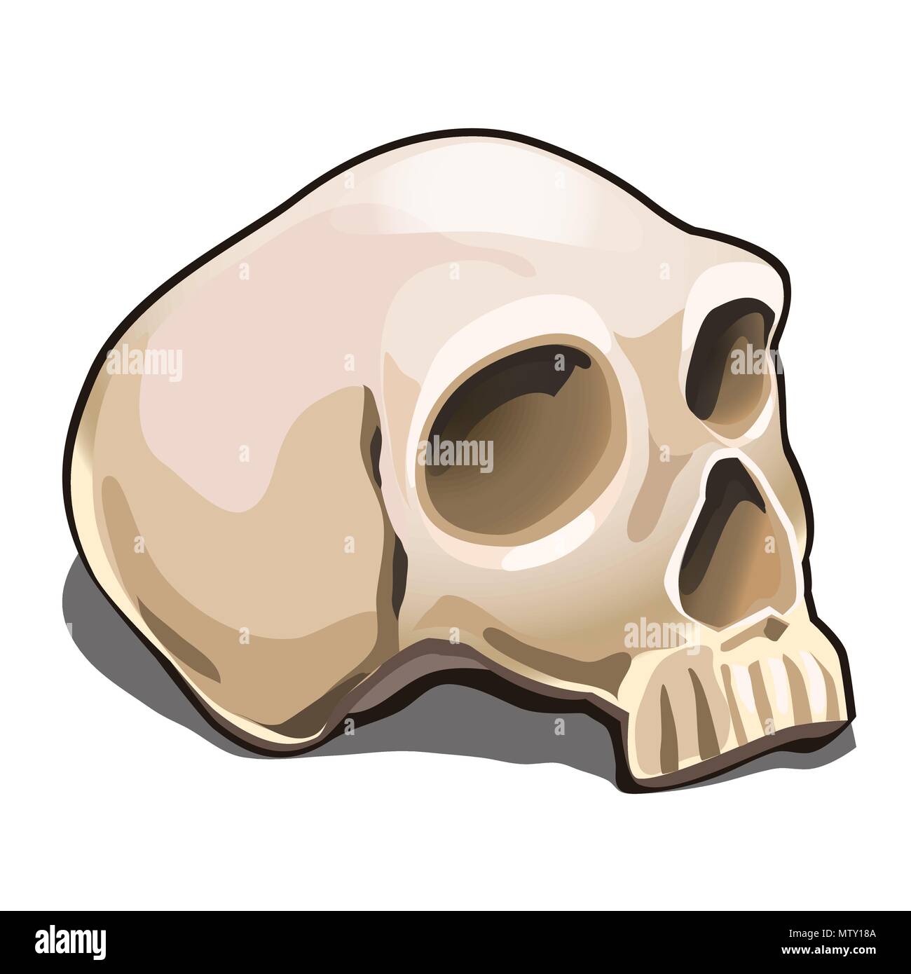 Rotting down Stock Vector Images - Alamy