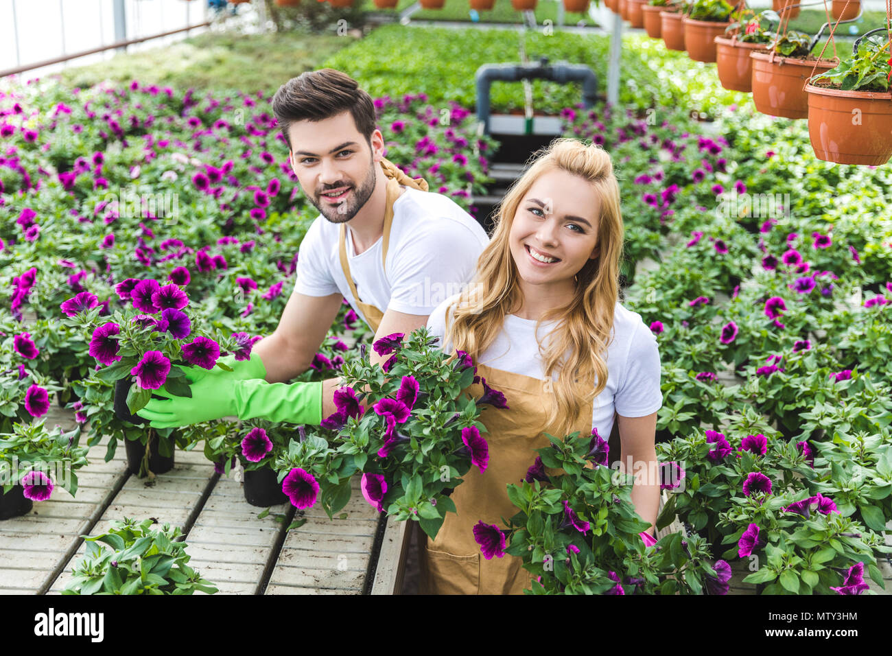 Gardeners gloves hi-res stock photography and images - Alamy