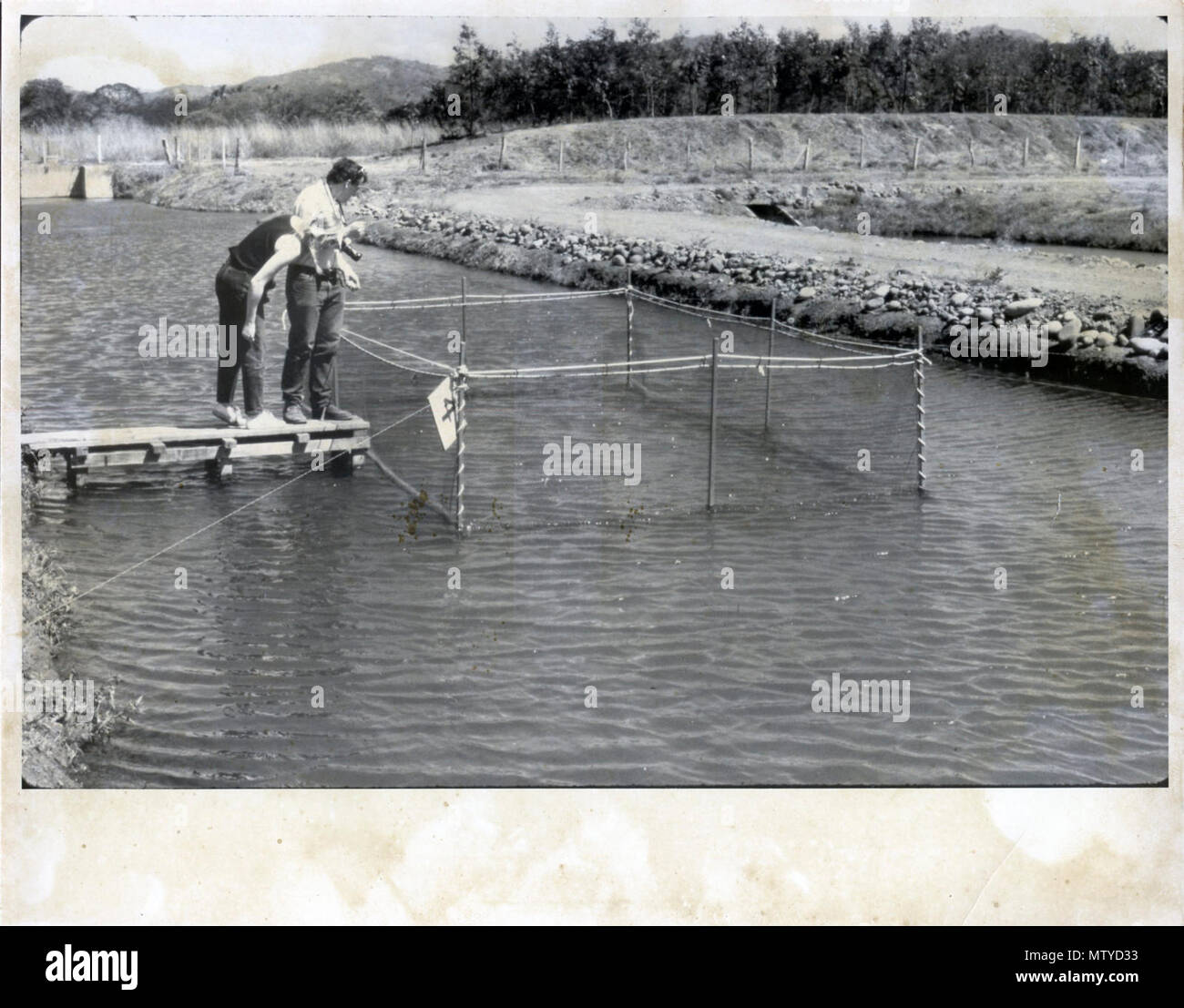 MISCELLANEOUS PHOTOS - Checking fish trap Stock Photo - Alamy