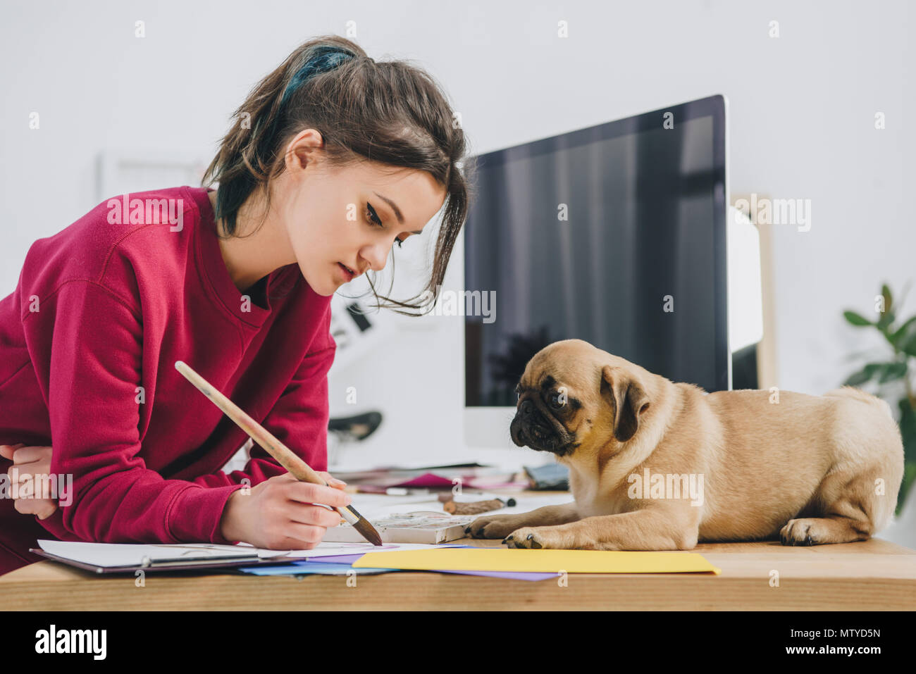 Cute pug looking at girl working on illustrations on working table with ...