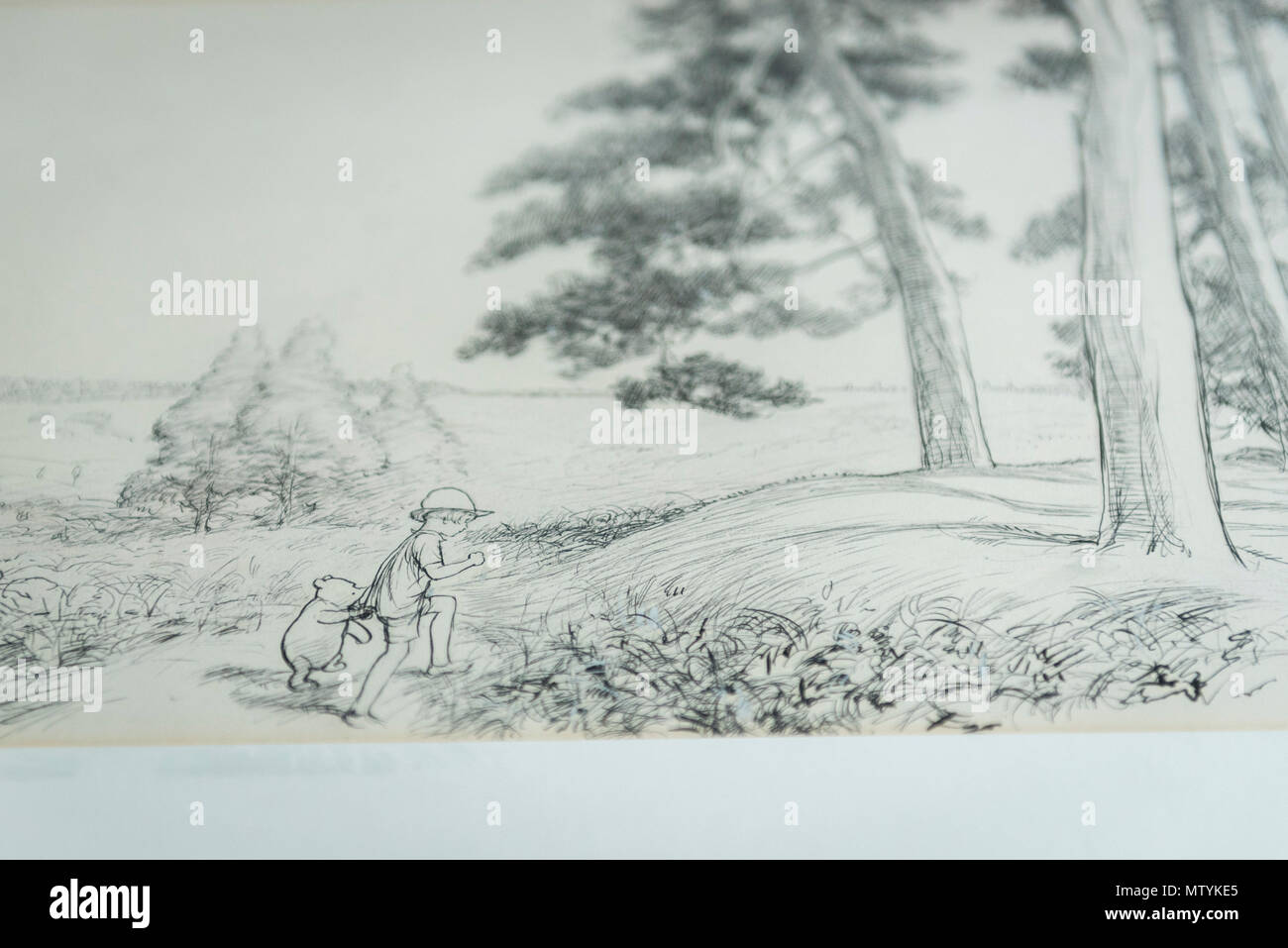 Hundred acre wood uk hi-res stock photography and images - Alamy