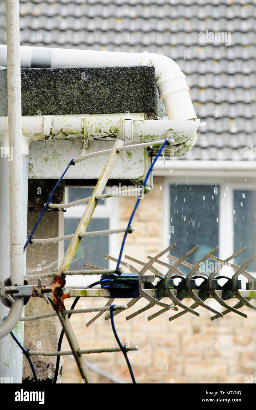 Fish gutter hi-res stock photography and images - Alamy