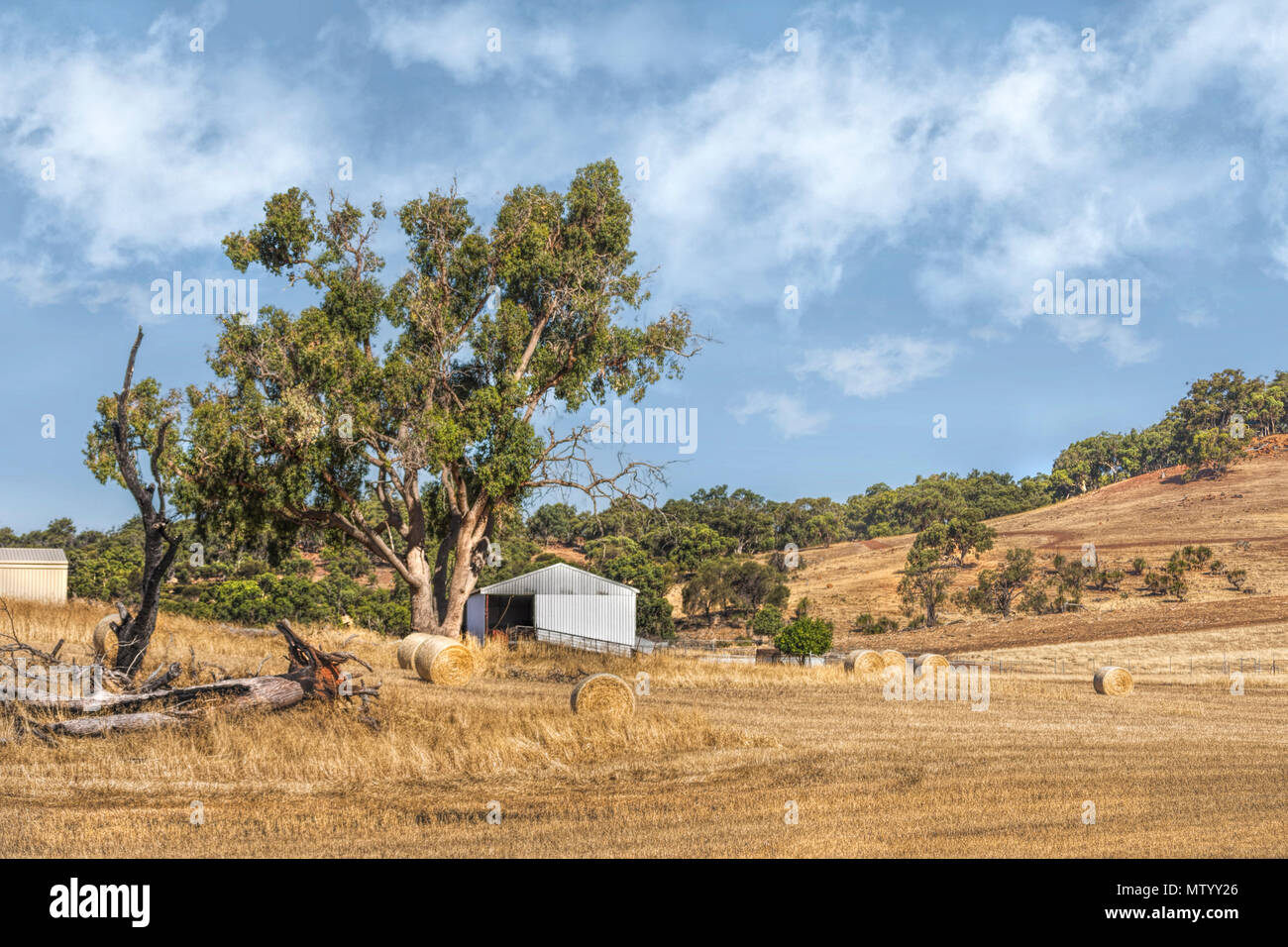 Harvesting Hay Australia High Resolution Stock Photography and Images ...
