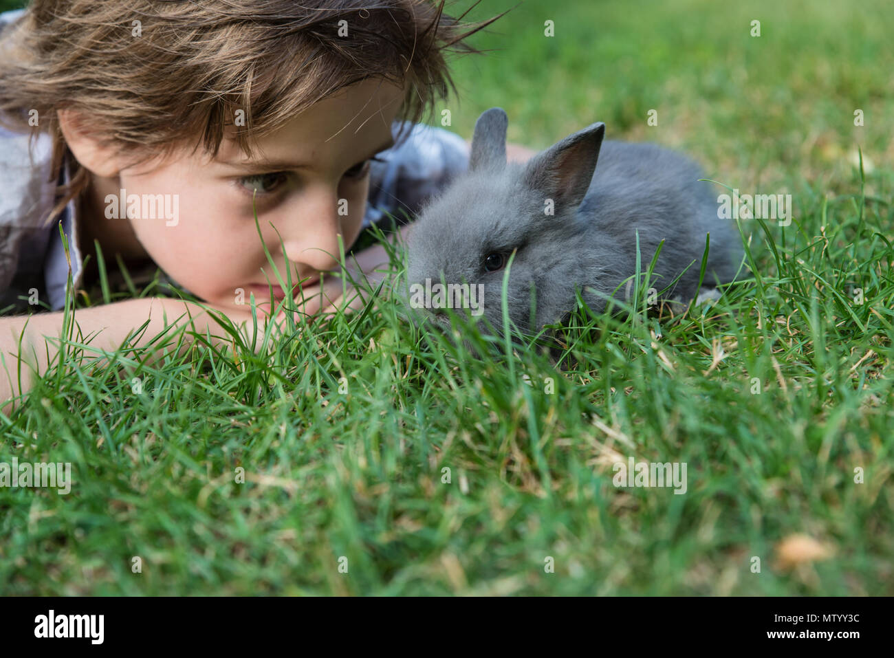 Pet rabbit on grass hi-res stock photography and images - Alamy