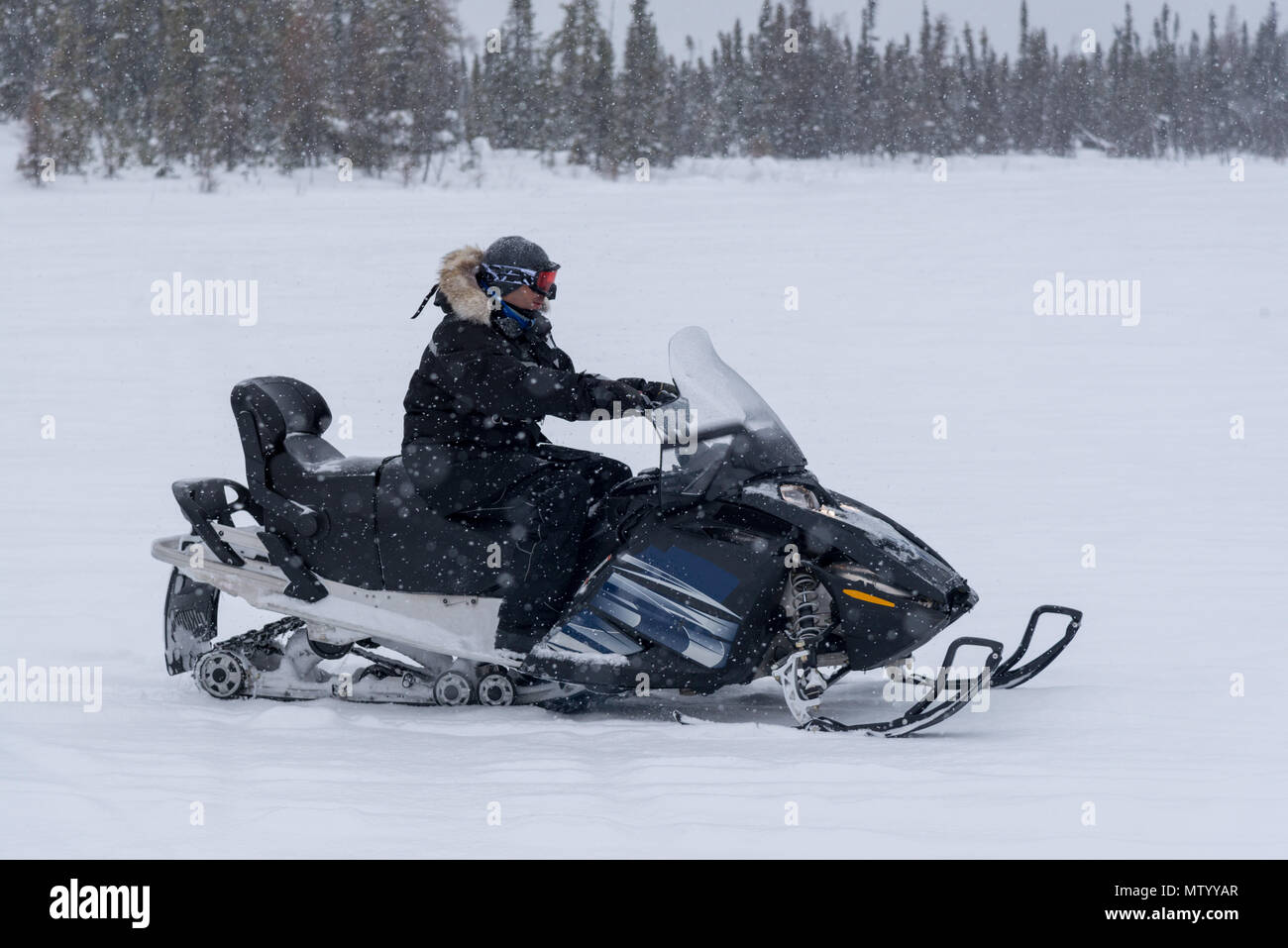 Skidoo hi-res stock photography and images - Alamy