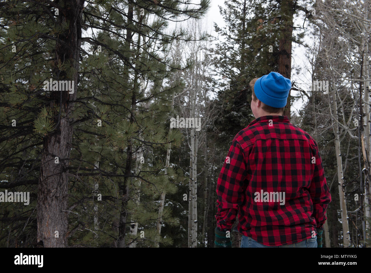 Rear view of a boy standing in forest, Utah, United States Stock Photo ...
