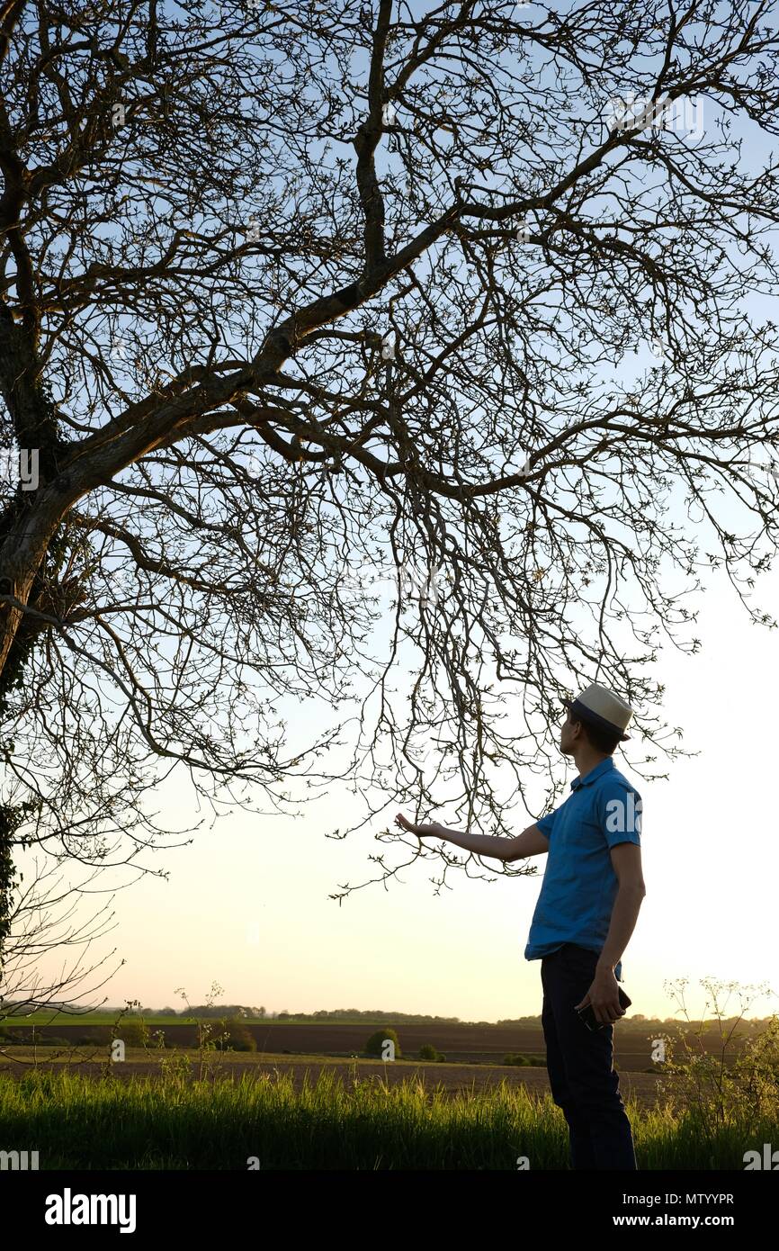 Man standing by a tree with his arm outstretched, Niort, France Stock ...