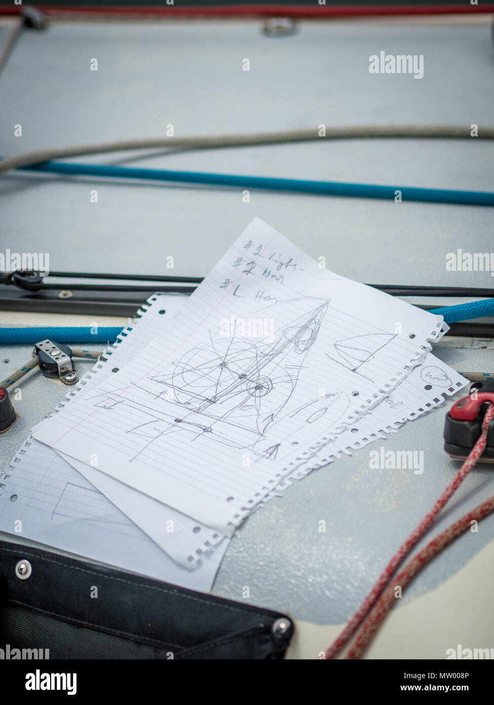 Race diagram hi-res stock photography and images - Alamy