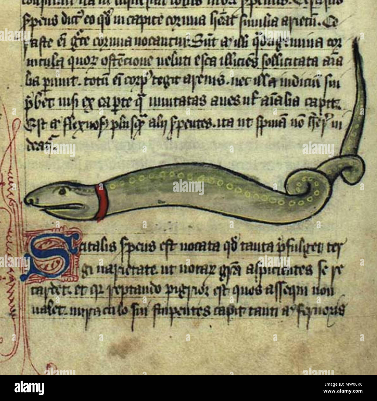 Bestiario medieval hi-res stock photography and images - Alamy