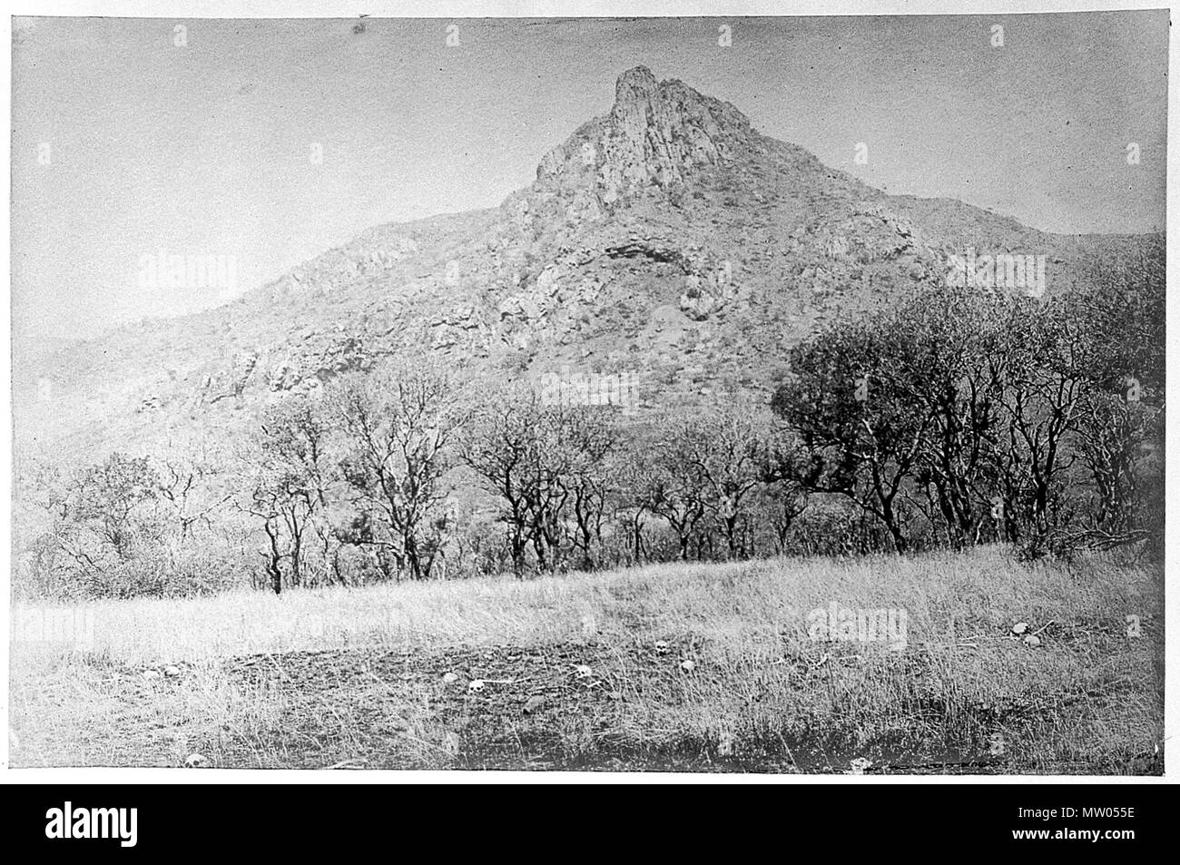 . Sir David Bruce, photograph album, Zululand 1894-1896 . 'Enchanemi ...