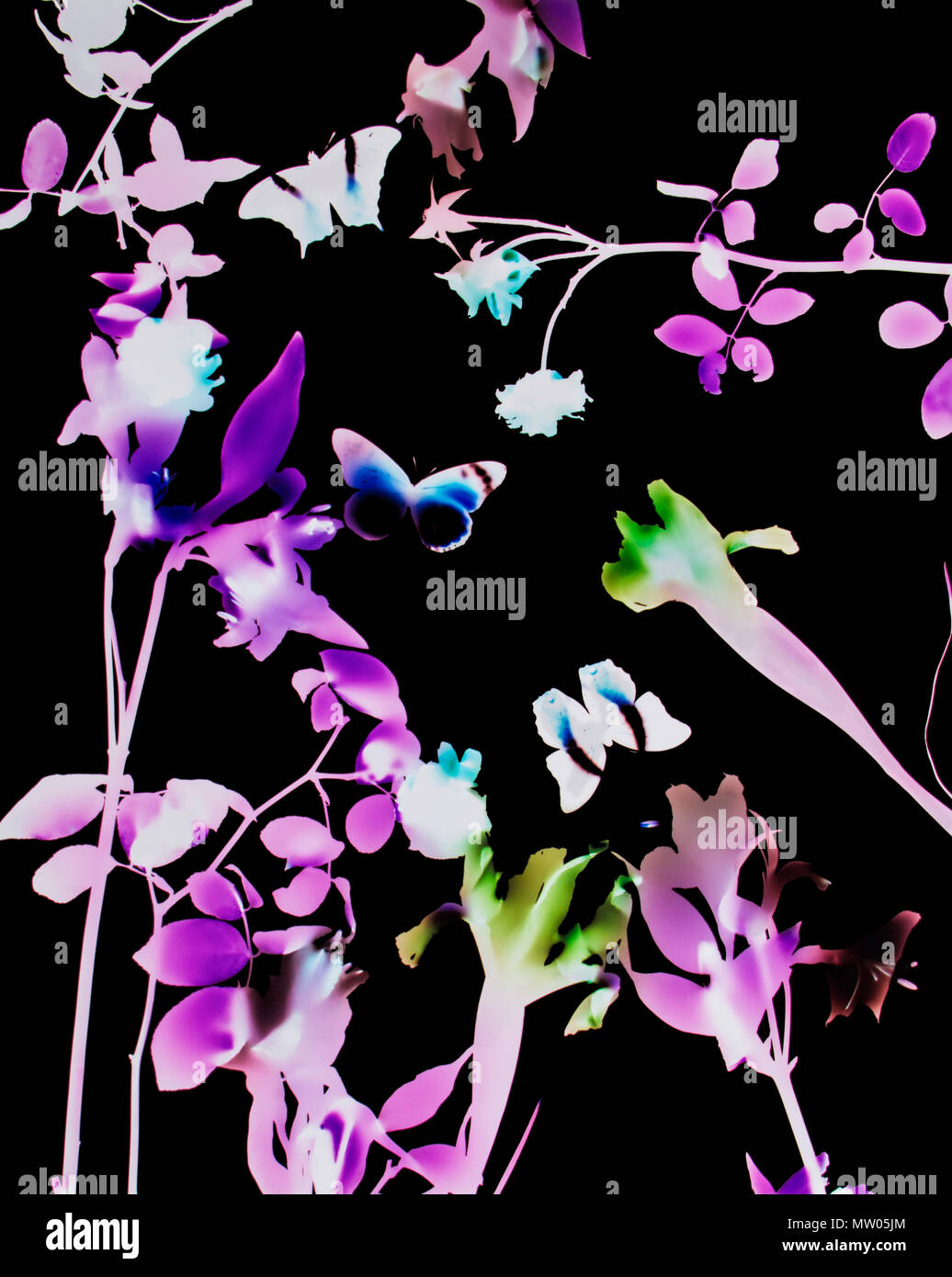 Photogram of Insects in Nature Stock Photo - Alamy