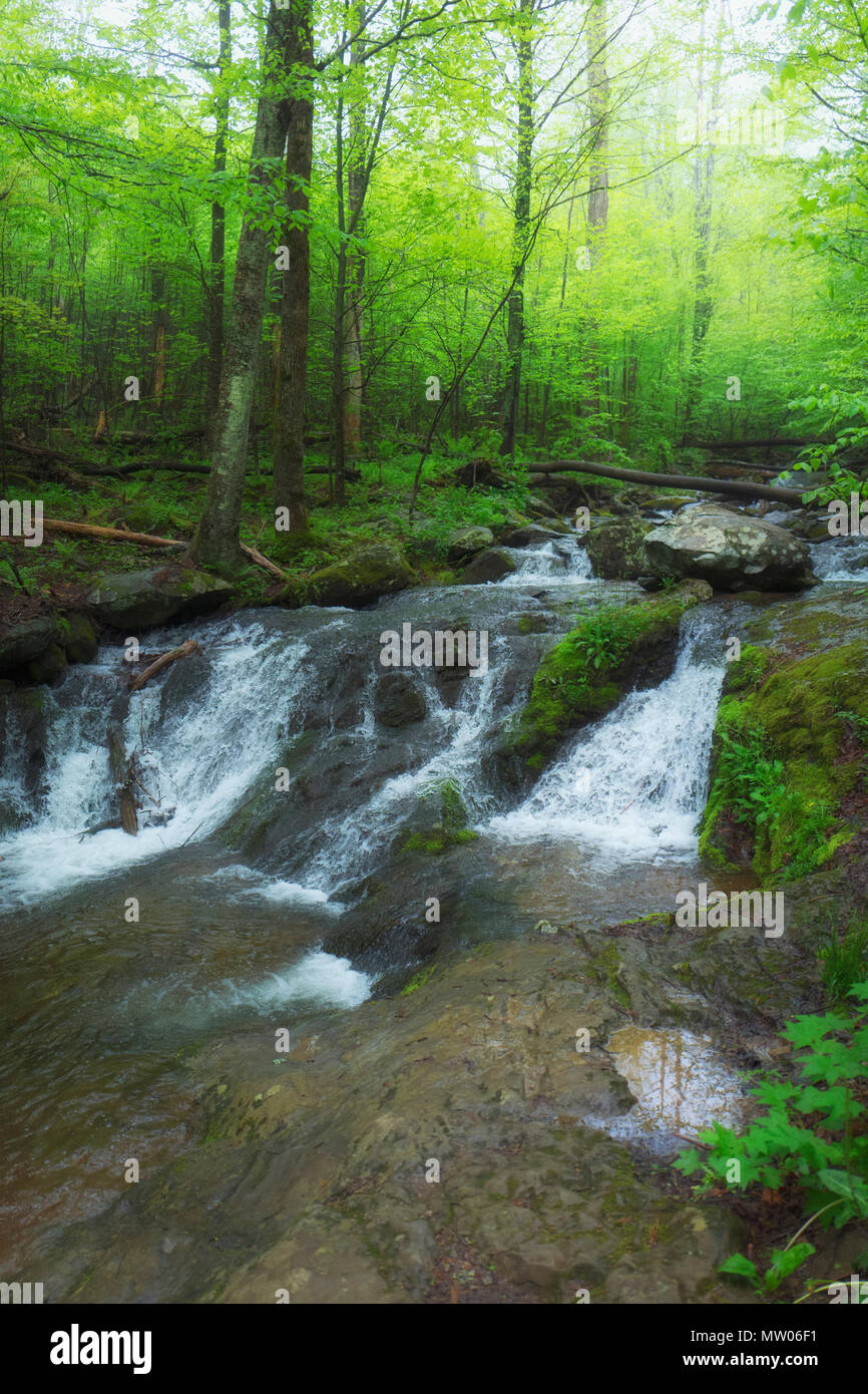 Shenandoah river water valley hi-res stock photography and images - Alamy