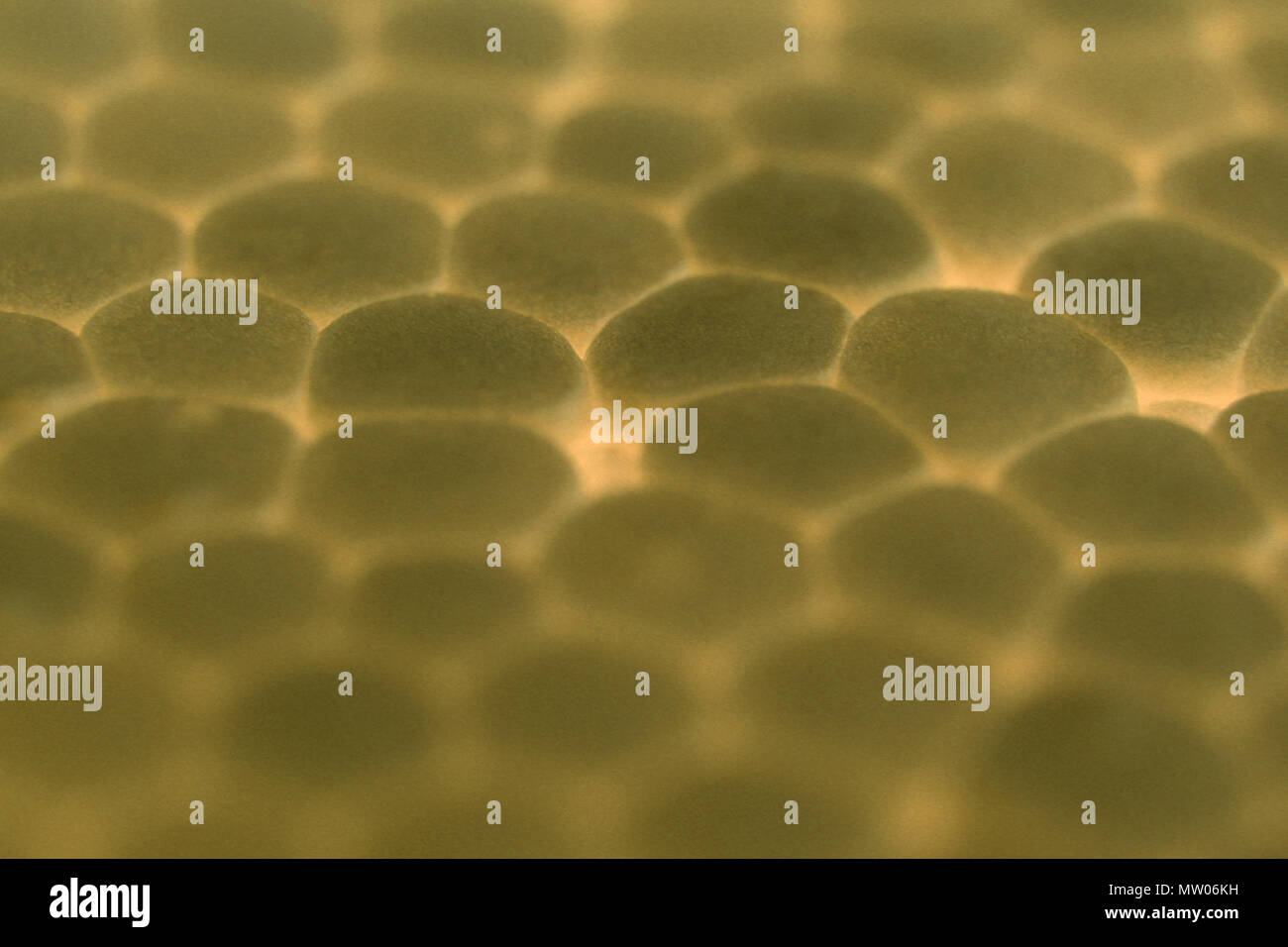 Yellow foam hi-res stock photography and images - Alamy