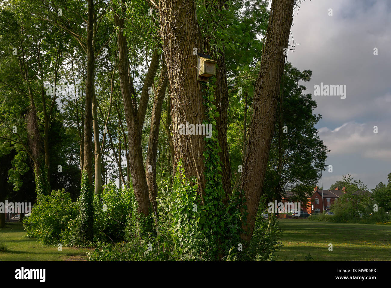 Bruche park hi-res stock photography and images - Alamy