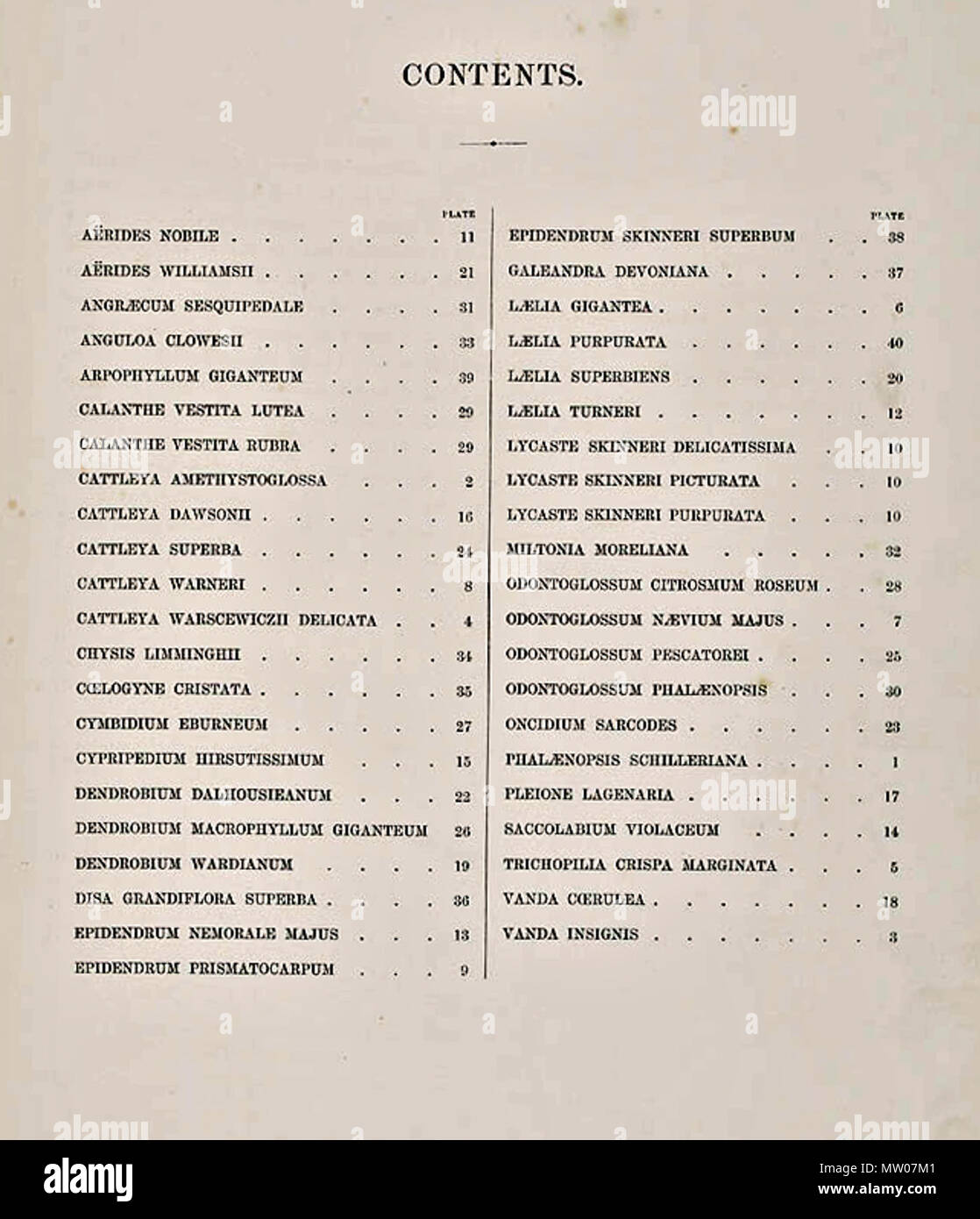. Index of: . between 1862 and 1865. Walter Hood Fitch (1817 - 1892 ...