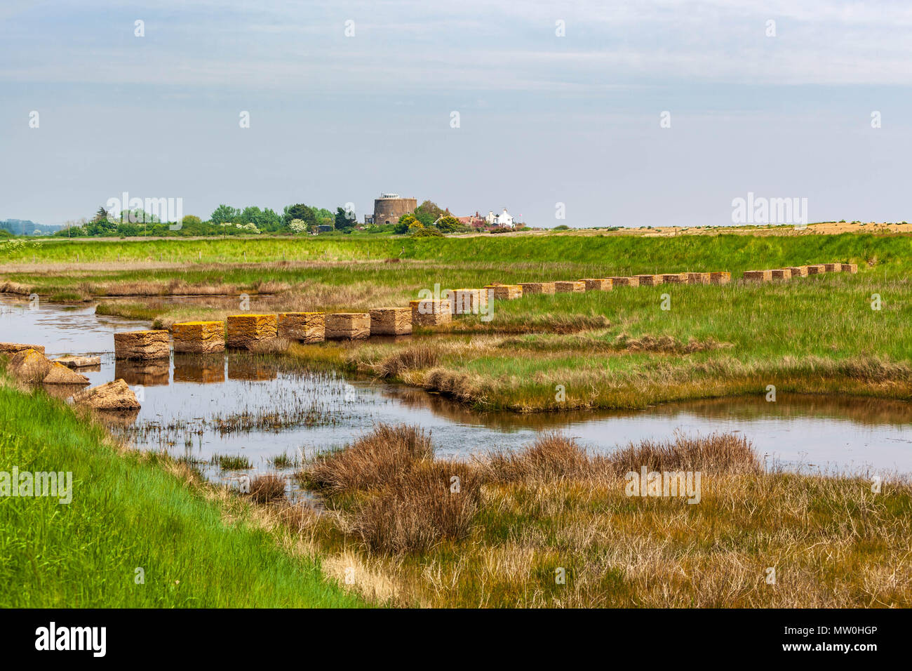 row of ww11 tank traps at shingle street suffolk uk Stock Photo - Alamy