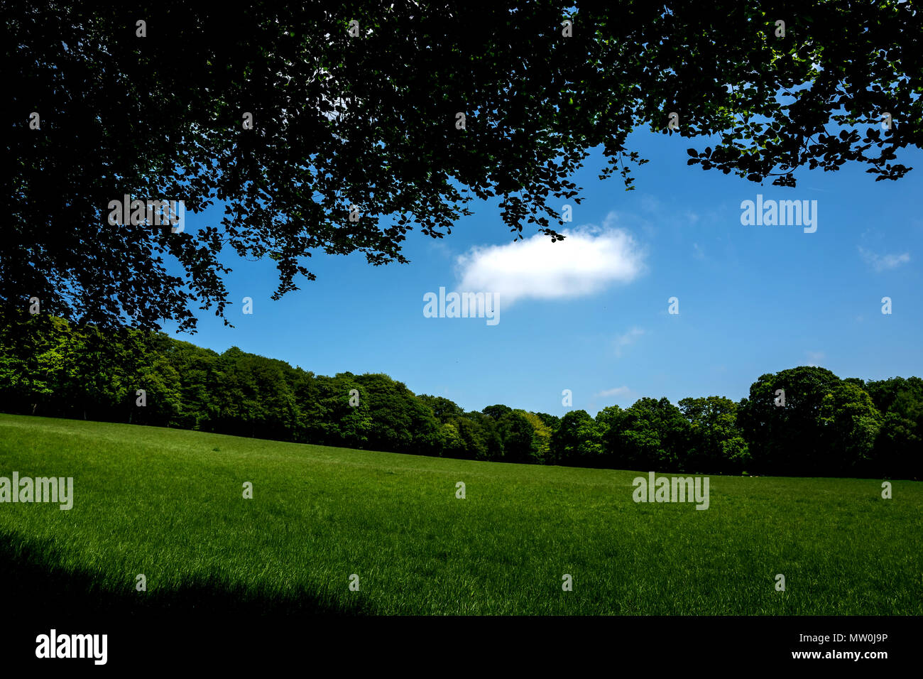 Lake crabtree hi-res stock photography and images - Alamy