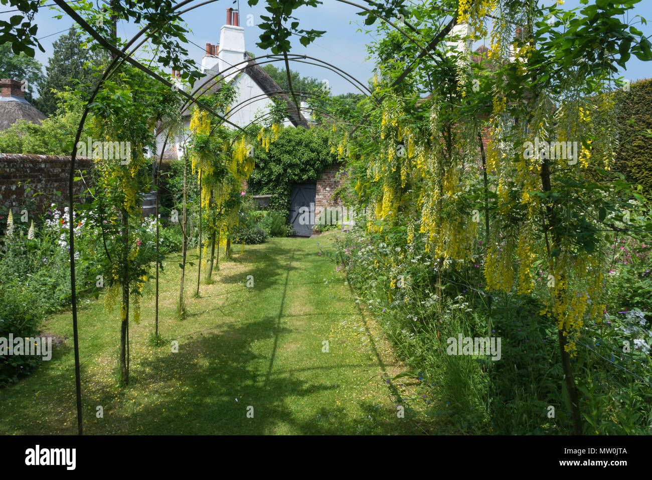 Laburnum arch hi-res stock photography and images - Alamy
