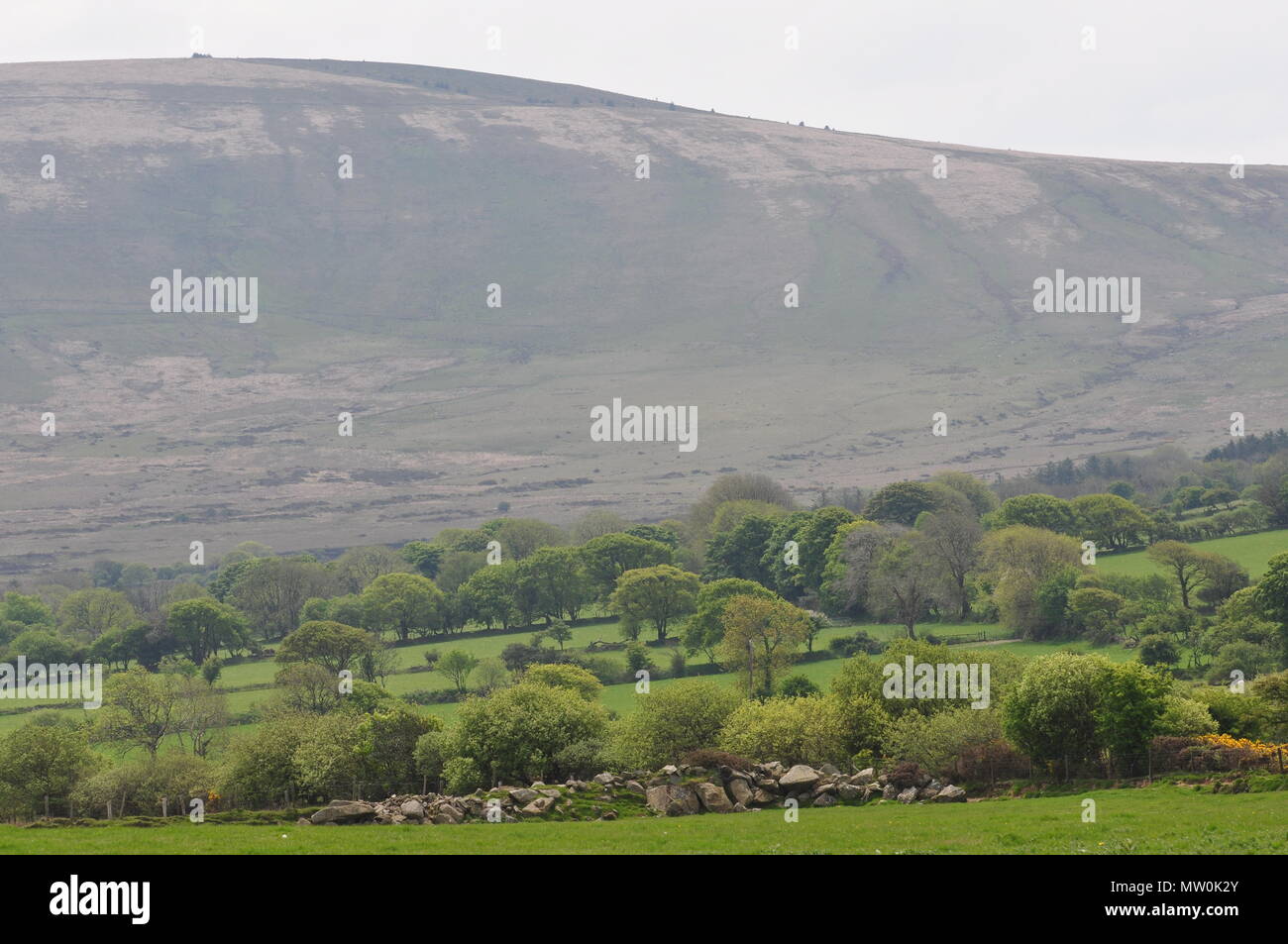 Preseli Hills Wales High Resolution Stock Photography and Images - Alamy
