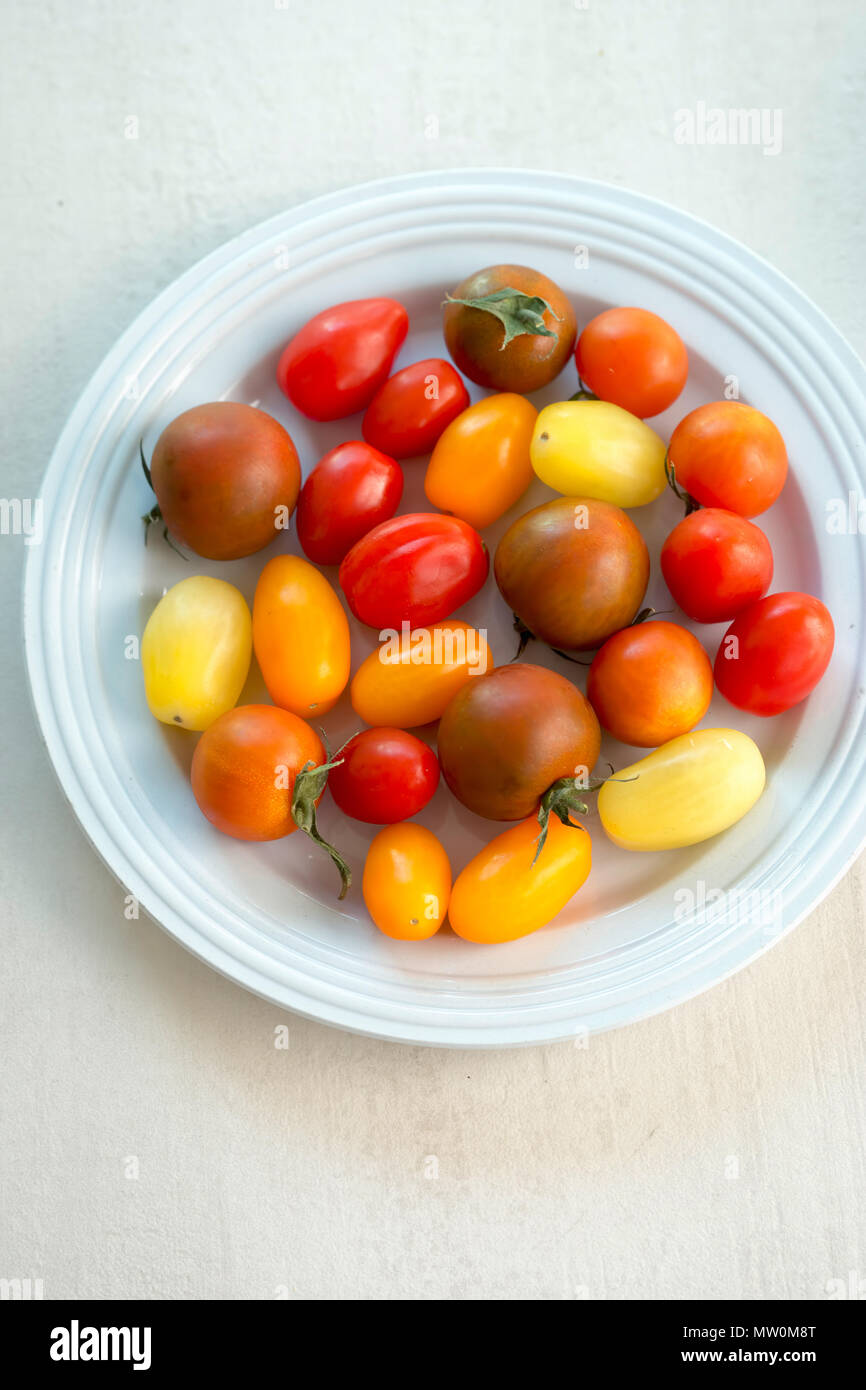 Tomato colorful mix Stock Photo - Alamy