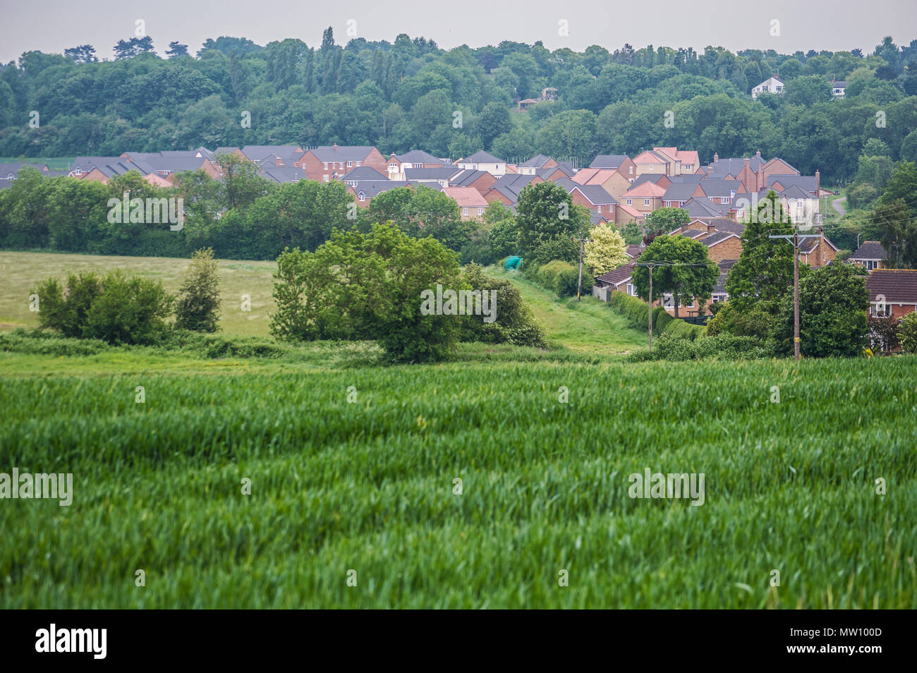 Jelsons hi-res stock photography and images - Alamy