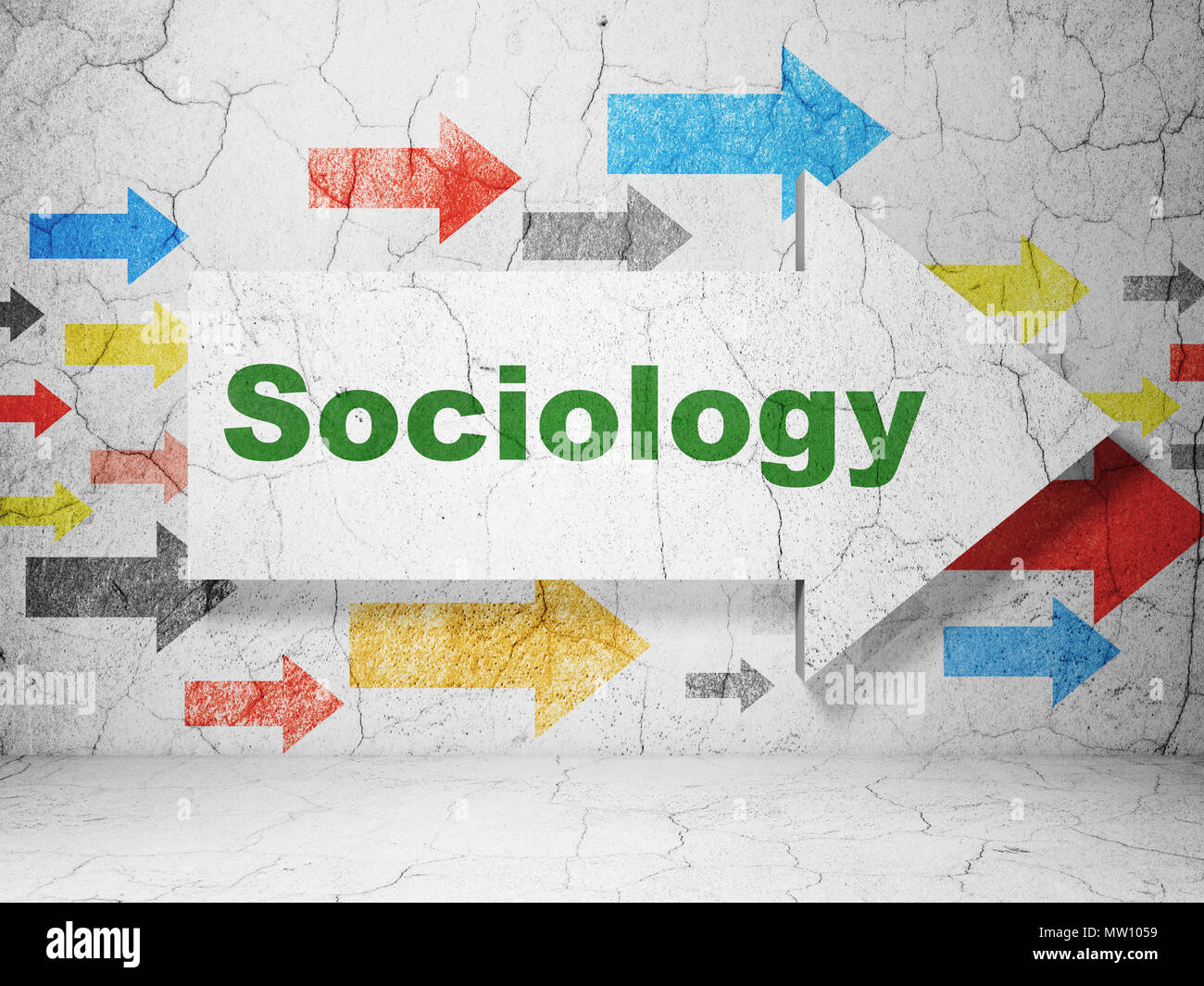 Education concept: arrow with Sociology on grunge textured concrete ...